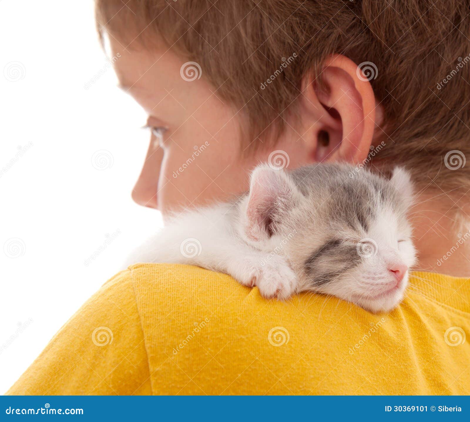 Boy and kitten stock image. Image of furry, feline, little - 30369101