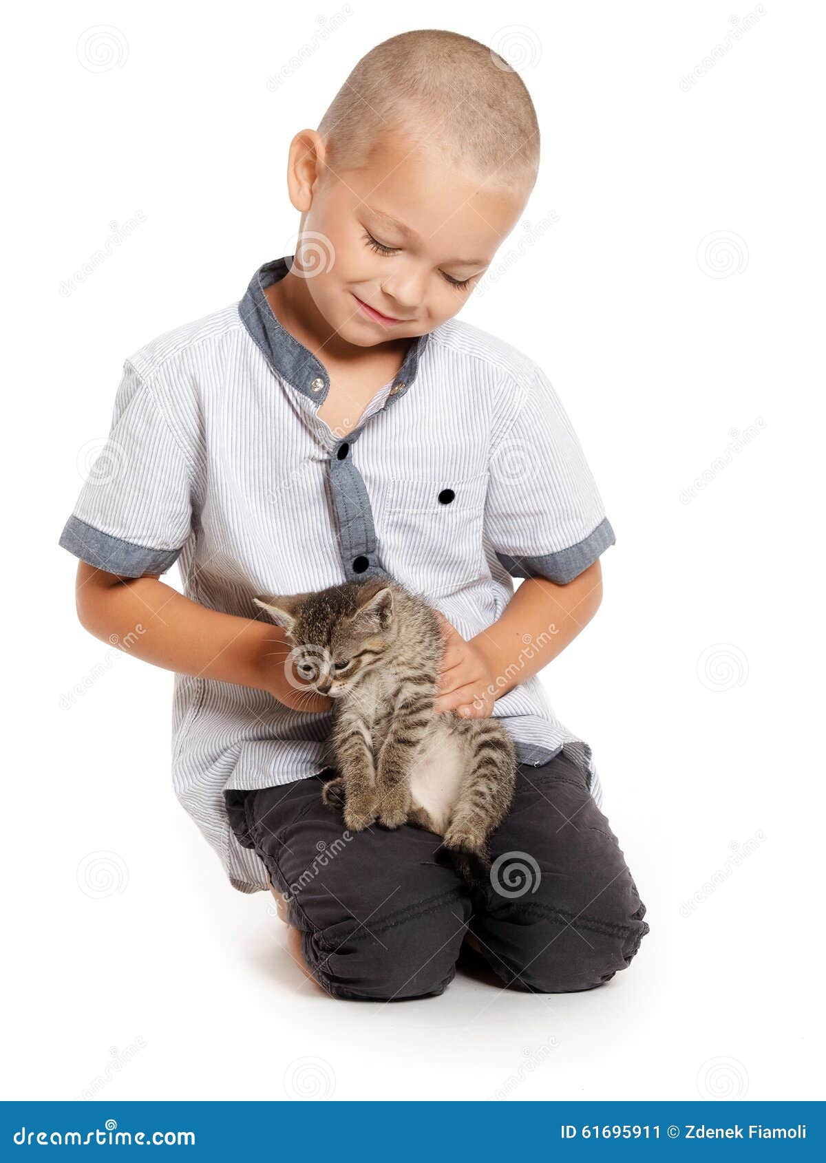 Boy with kitten stock image. Image of white, domestic - 61695911