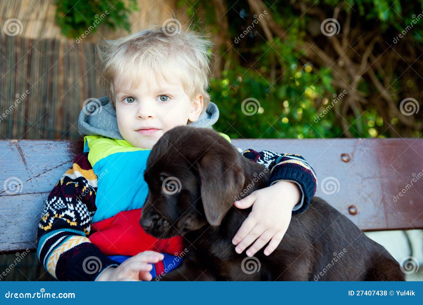 A boy with Labrador puppy stock photo. Image of friend - 27407438