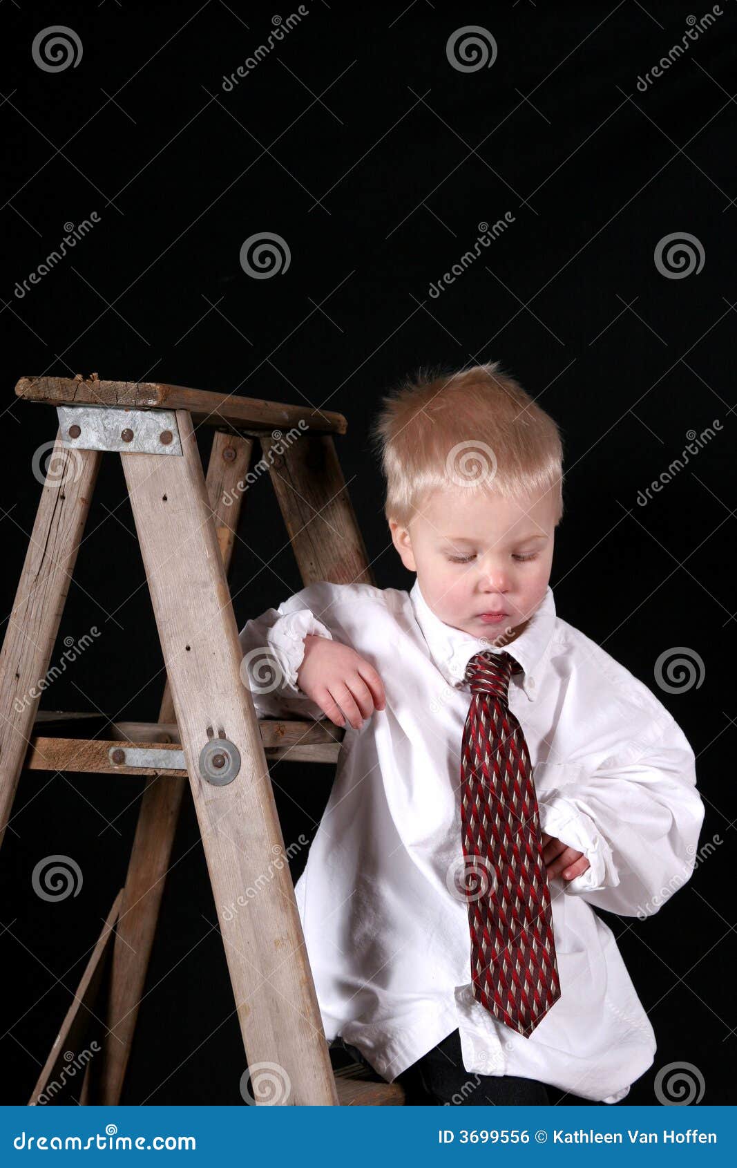 Boy On Ladder Picture. Image: 3699556