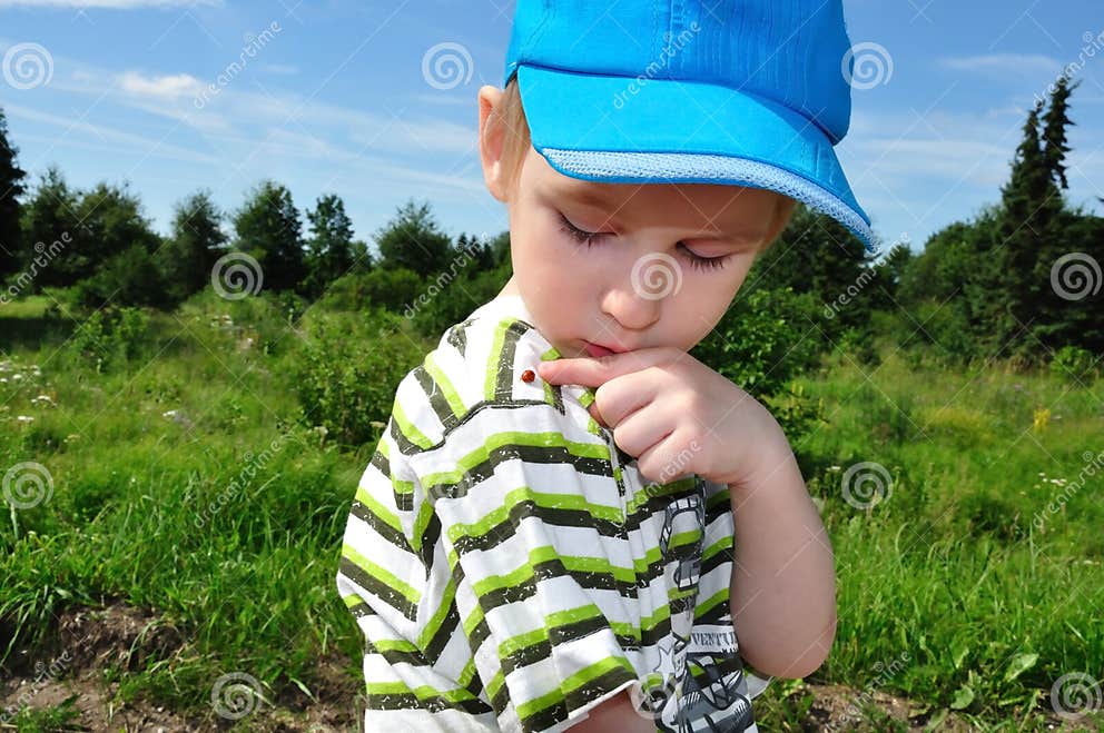 Boy with ladybug stock image. Image of caucasian, discovery - 20363651