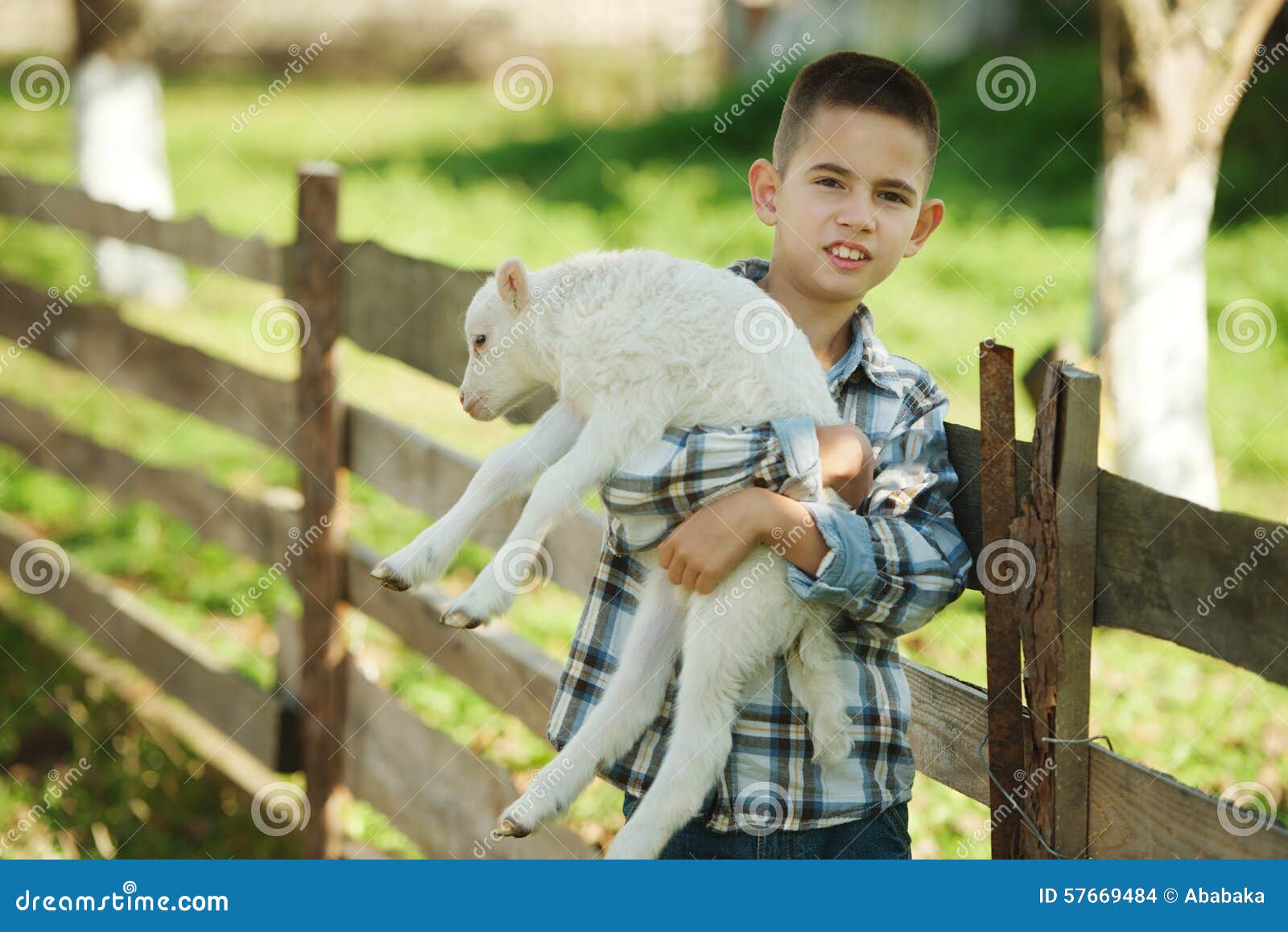 Boy with lamb on the farm stock photo. Image of farmyard - 57669484