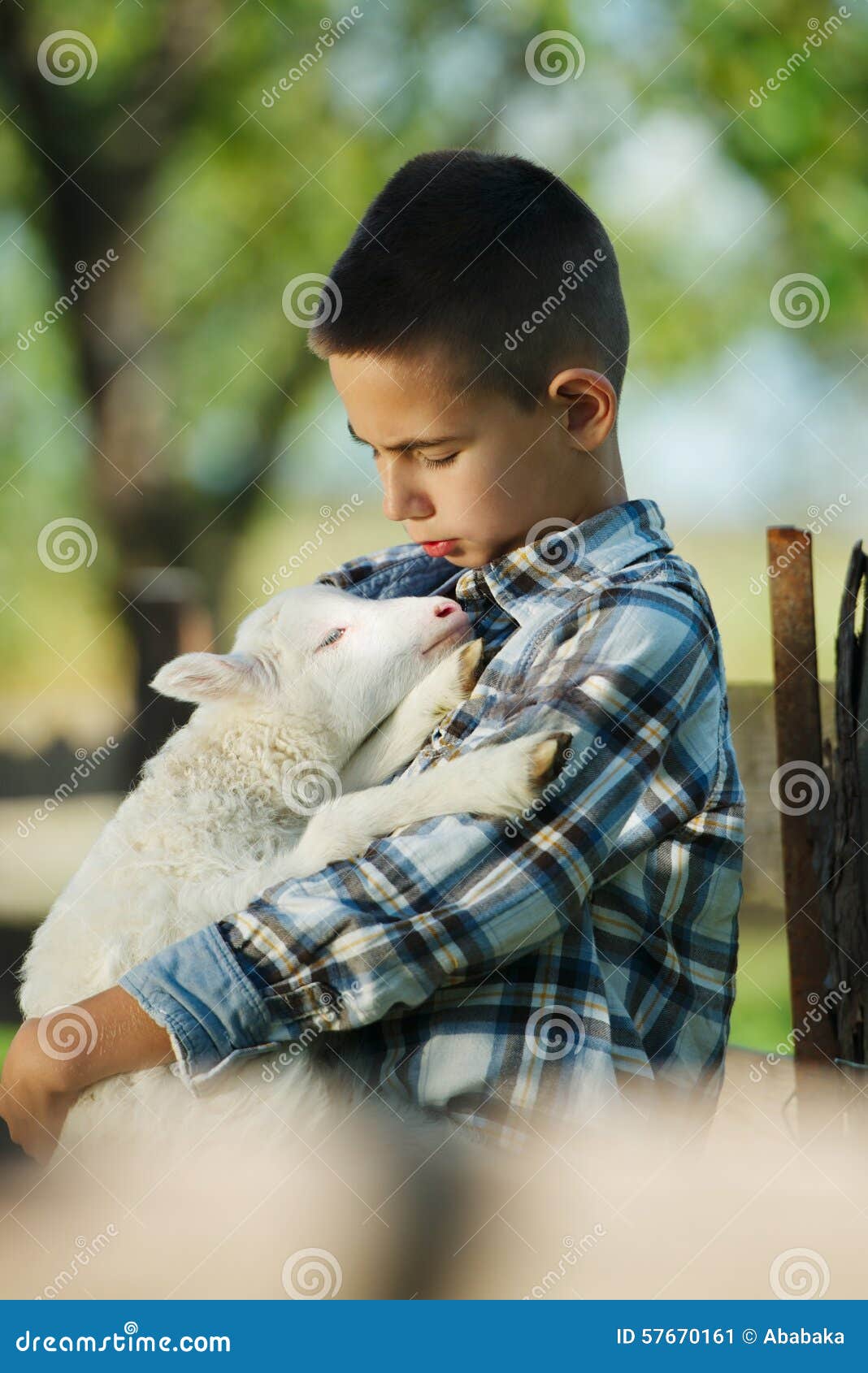 Boy with lamb on the farm stock image. Image of childhood - 57670161