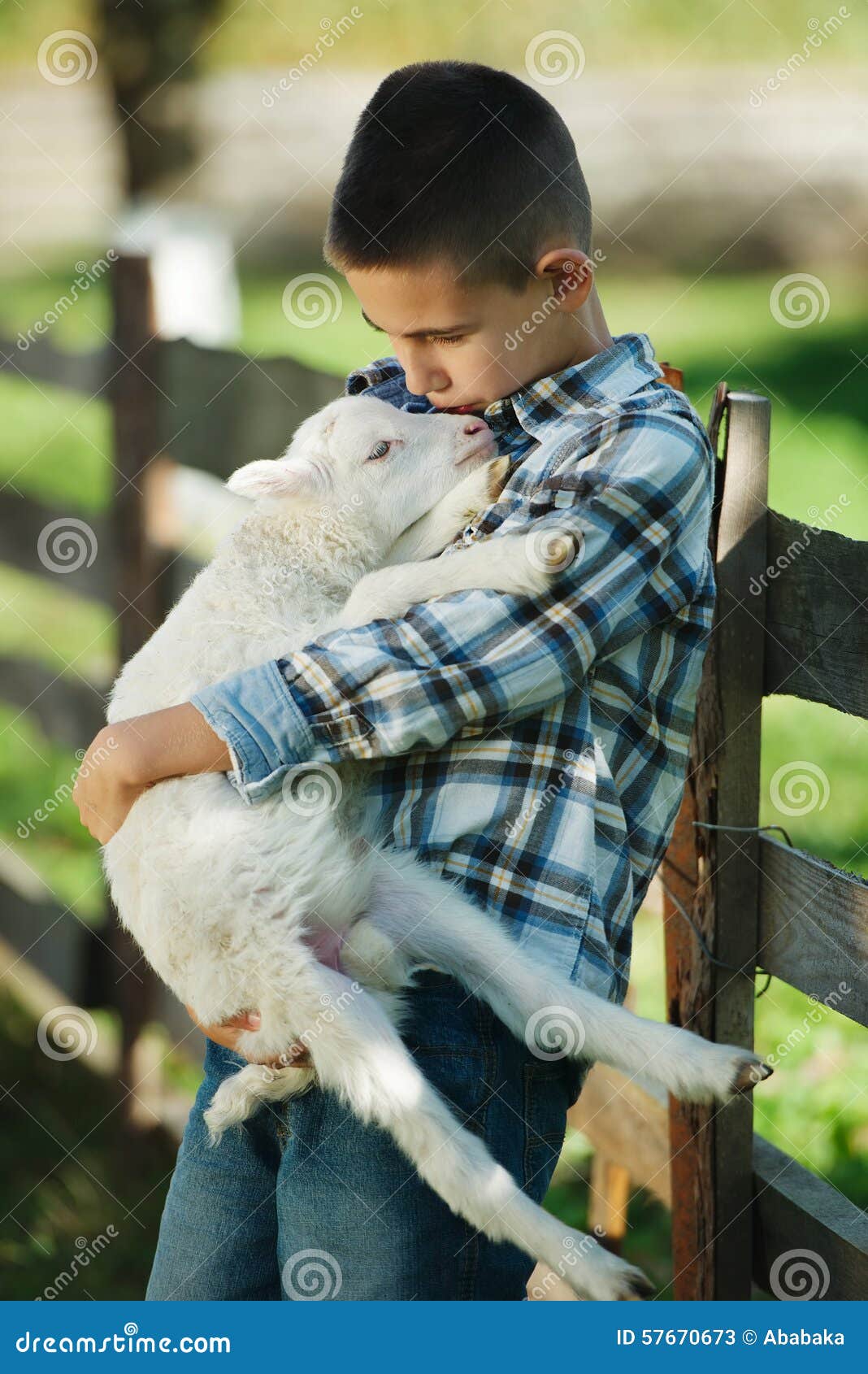 Boy with lamb on the farm stock image. Image of caucasian - 57670673