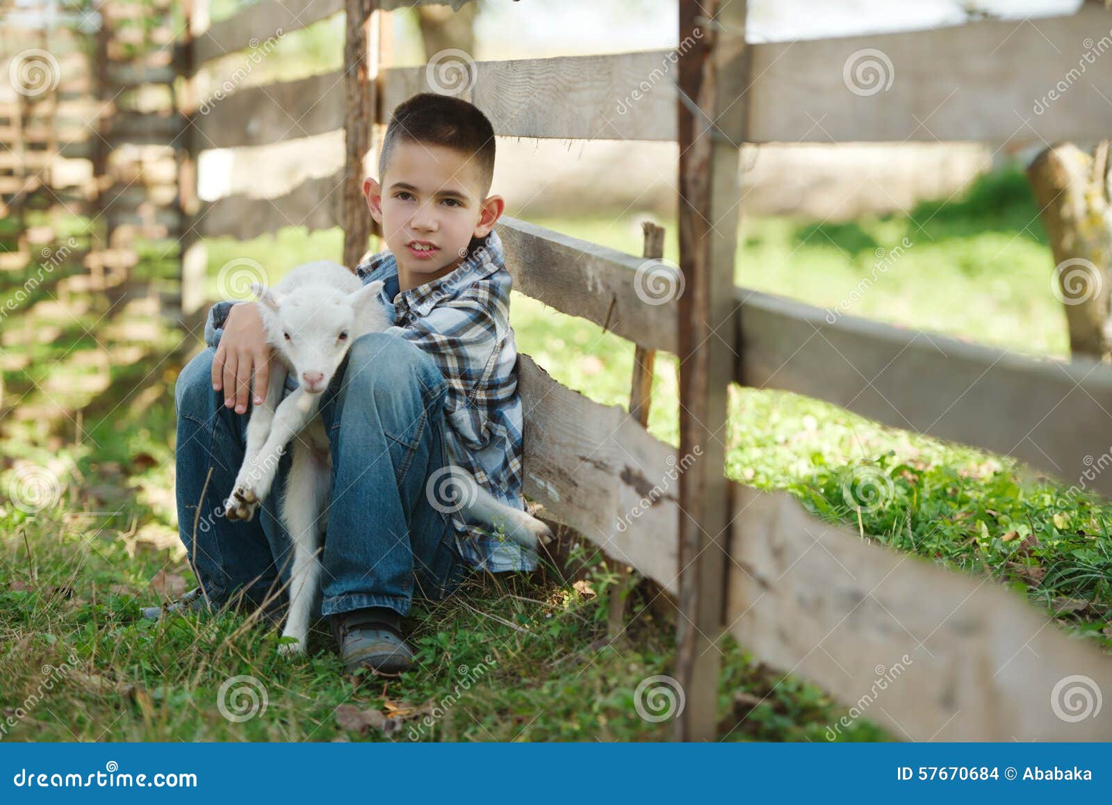 Boy with lamb on the farm stock photo. Image of little - 57670684