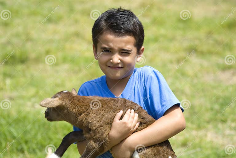 Boy with lamb stock image. Image of jolly, loving, child - 92486799