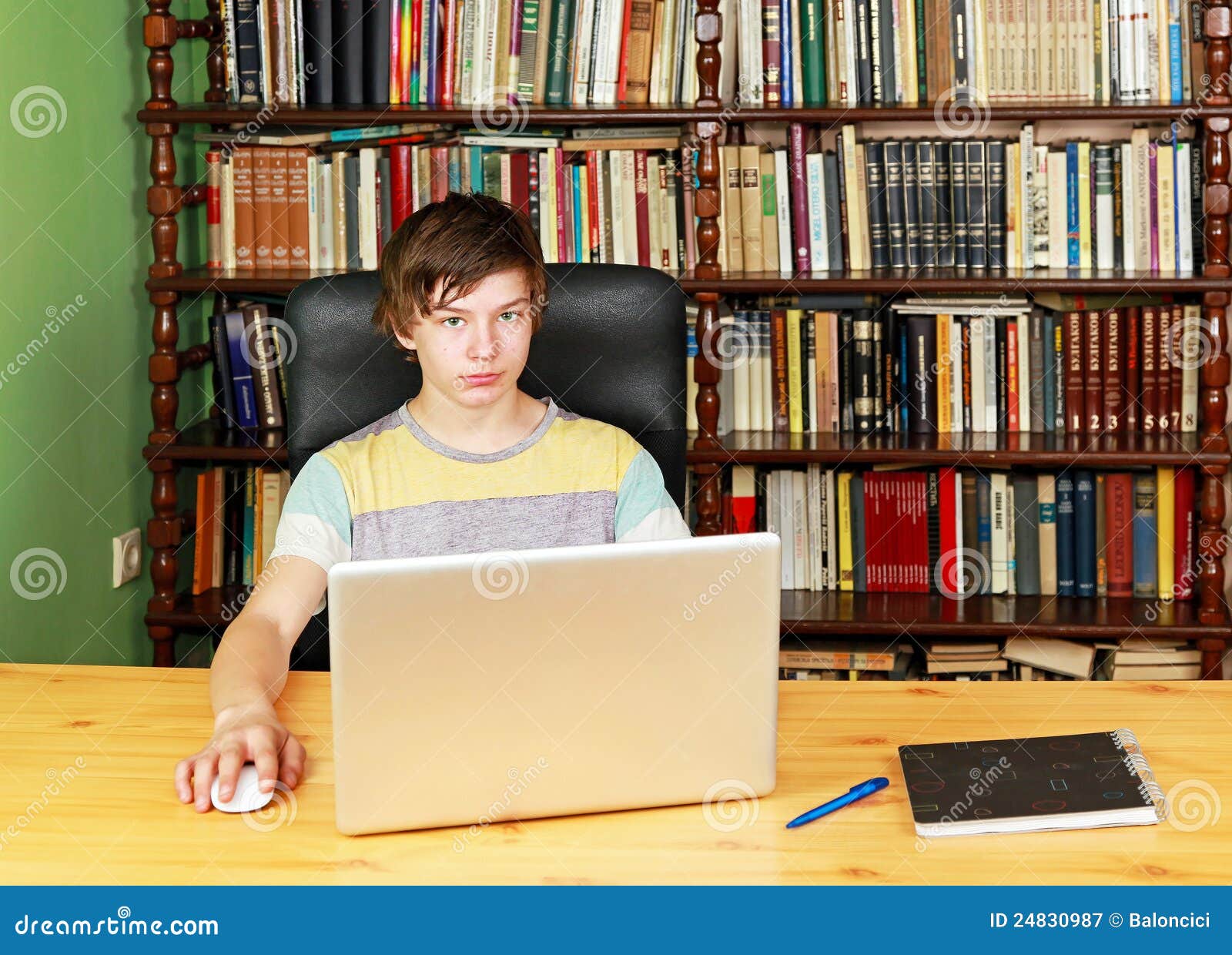 Boy with laptop stock image. Image of desk, study, modern - 24830987
