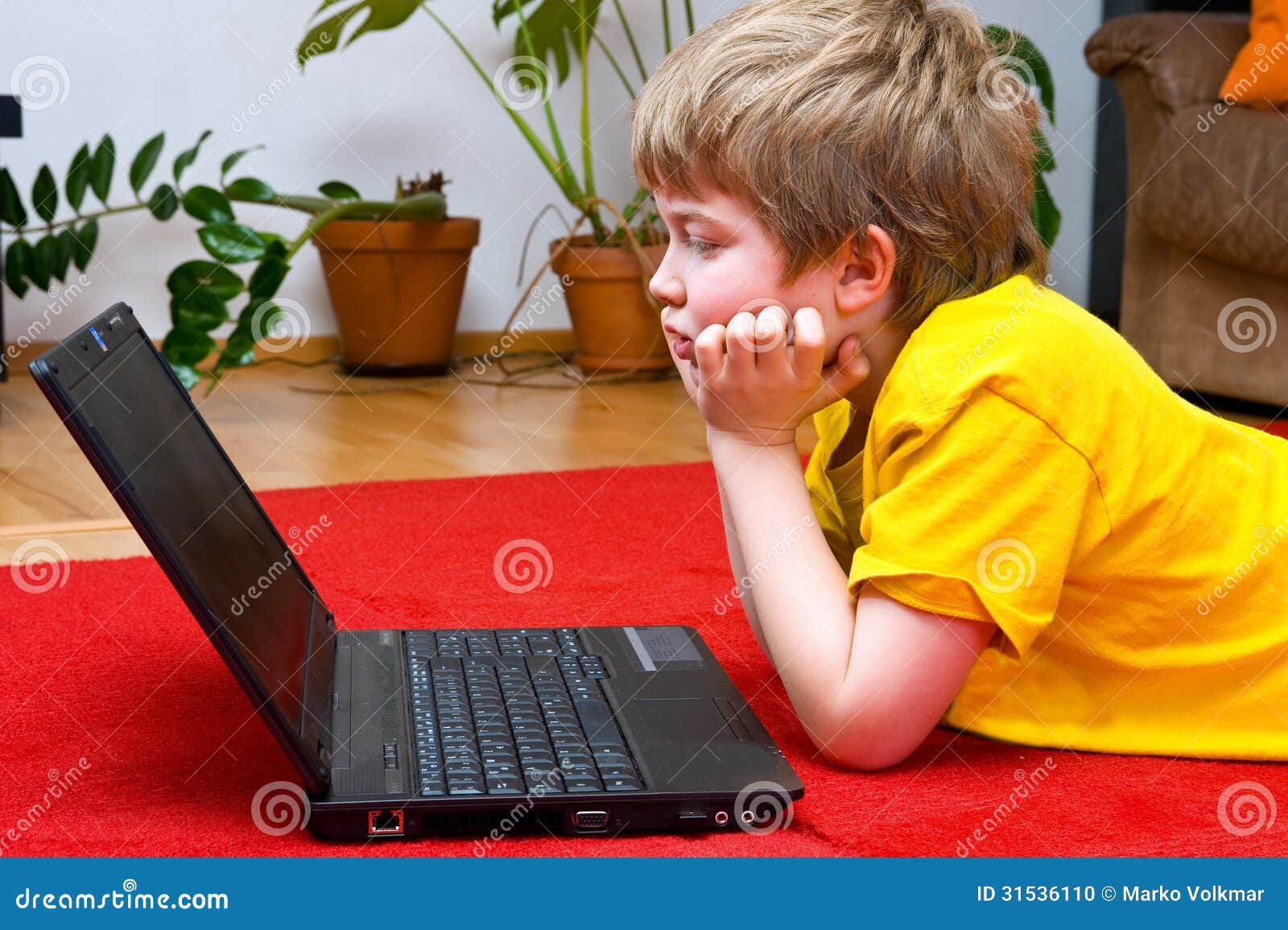 Boy with laptop stock photo. Image of school, chat, progress - 31536110