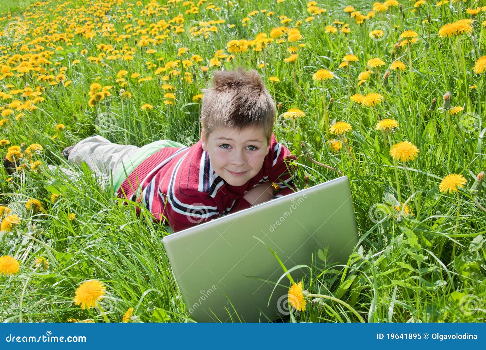Boy with Laptop Computer Lying on the Grass Stock Image - Image of ...