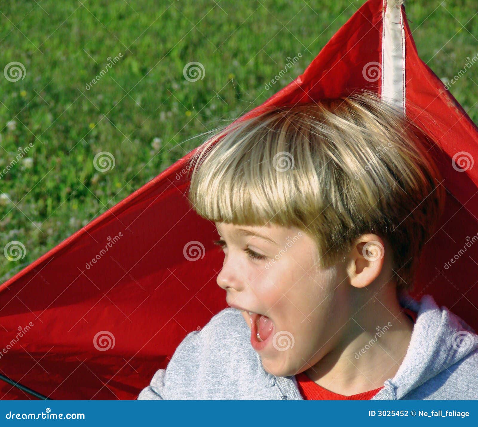 Boy Laughing stock photo. Image of kids, laughing, jumping - 3025452