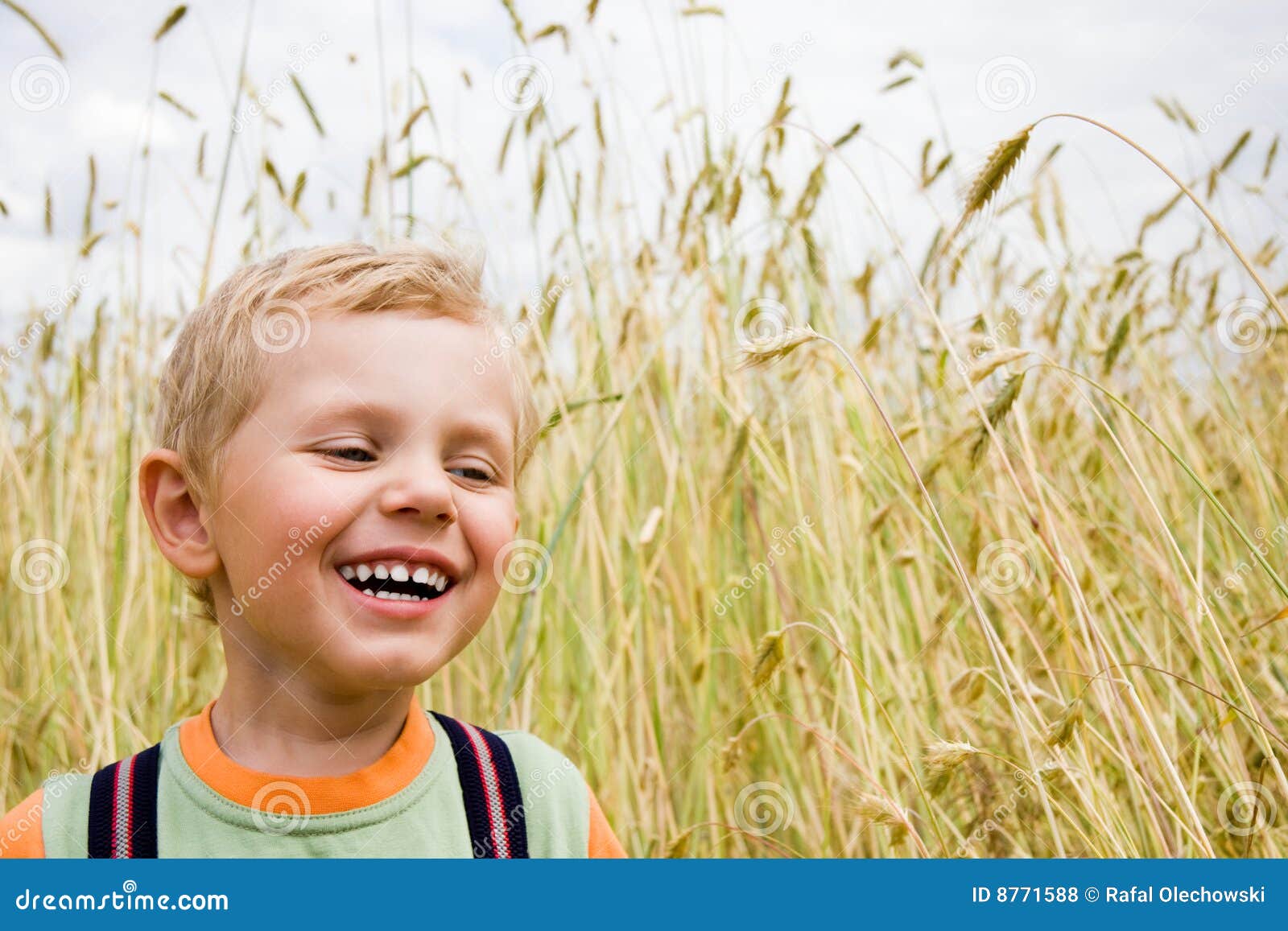 Boy Laughing on Wheat Field Stock Photo - Image of spring, field: 8771588