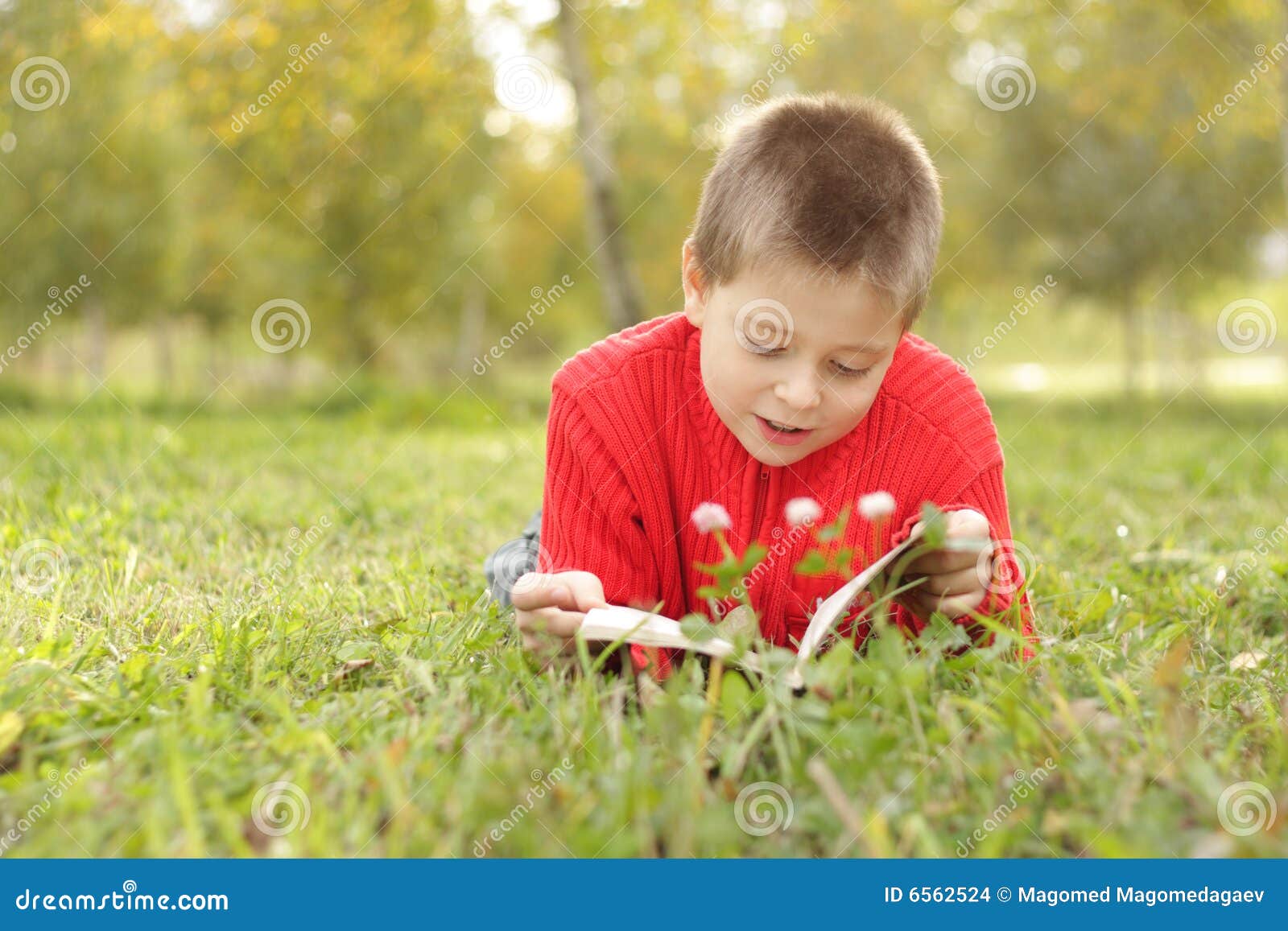 Boy Laying on Grass and Reading Stock Photo - Image of flash, park: 6562524
