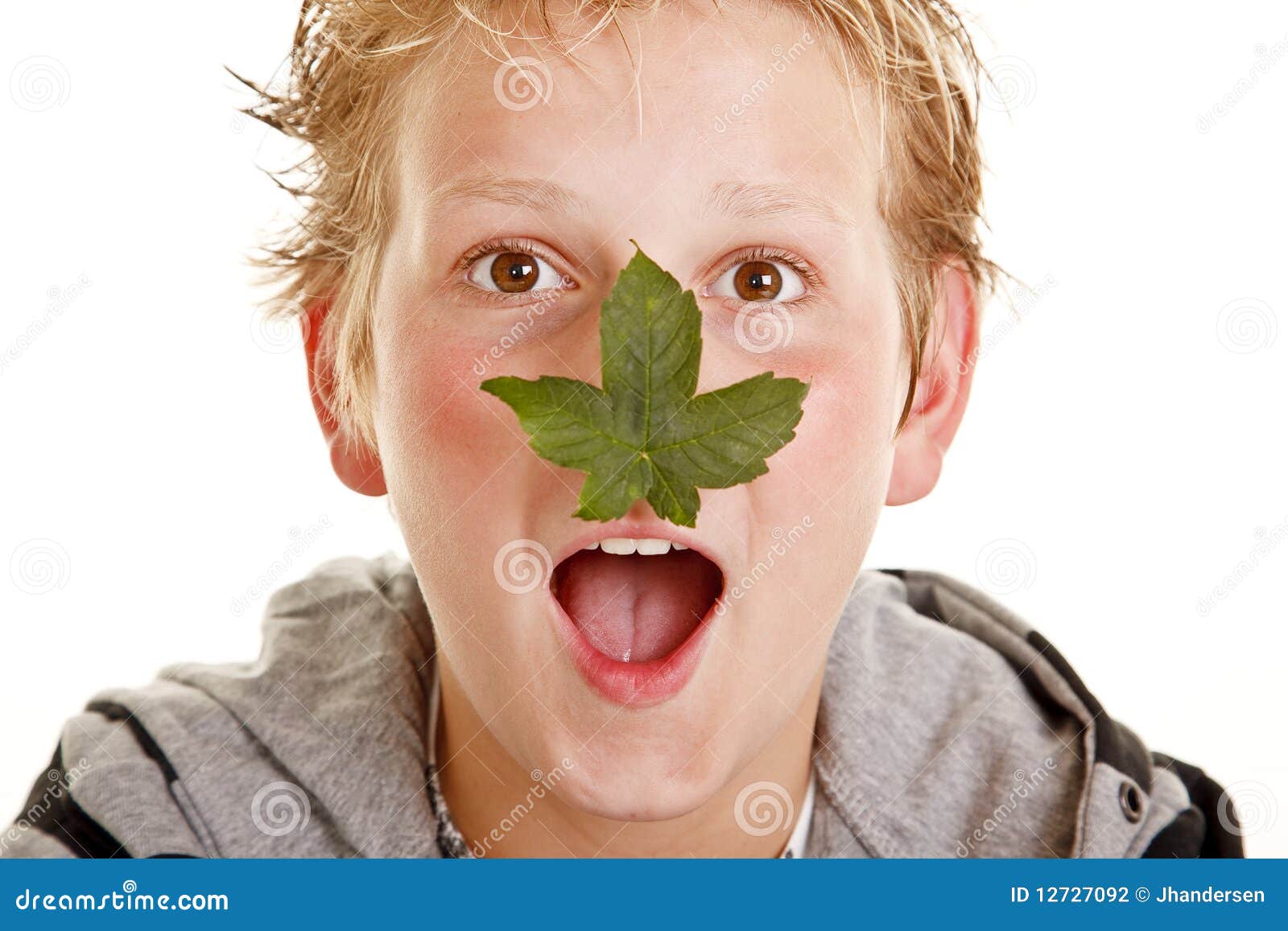 Boy with leaf on his nose stock photo. Image of playing - 12727092