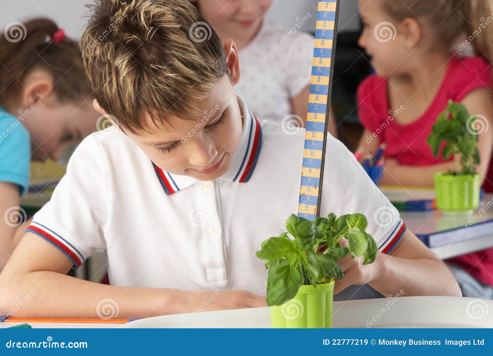 Boy Learning about Plants in School Class Stock Image - Image of male ...