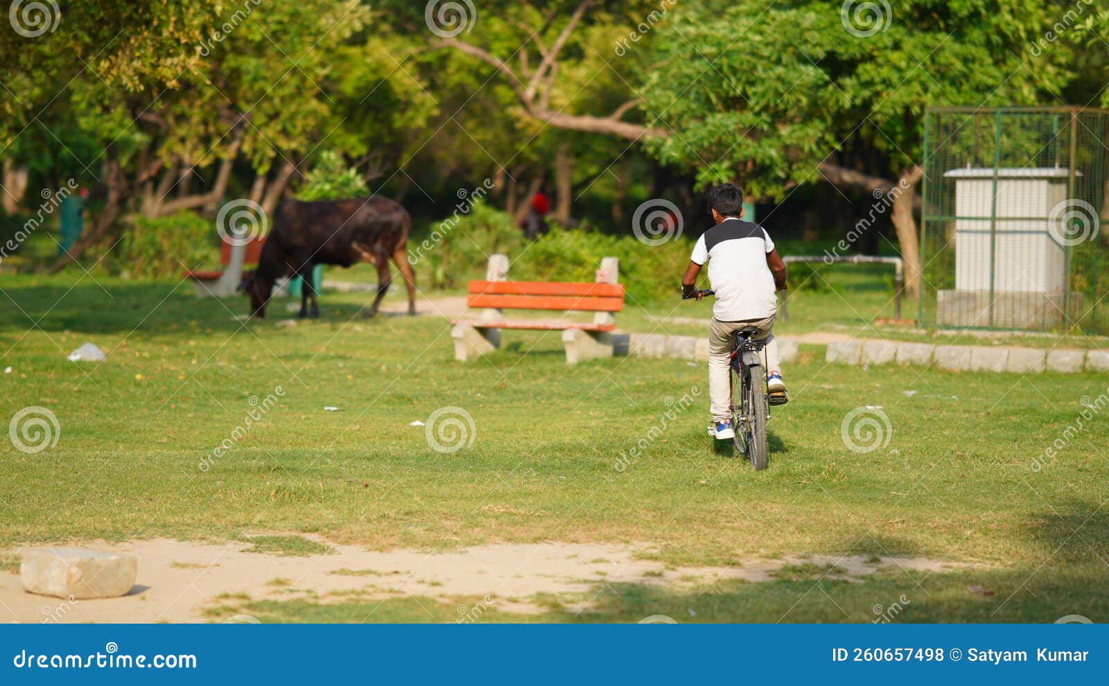 A Boy Learning To Cycle in the Park Editorial Stock Photo - Image of ...