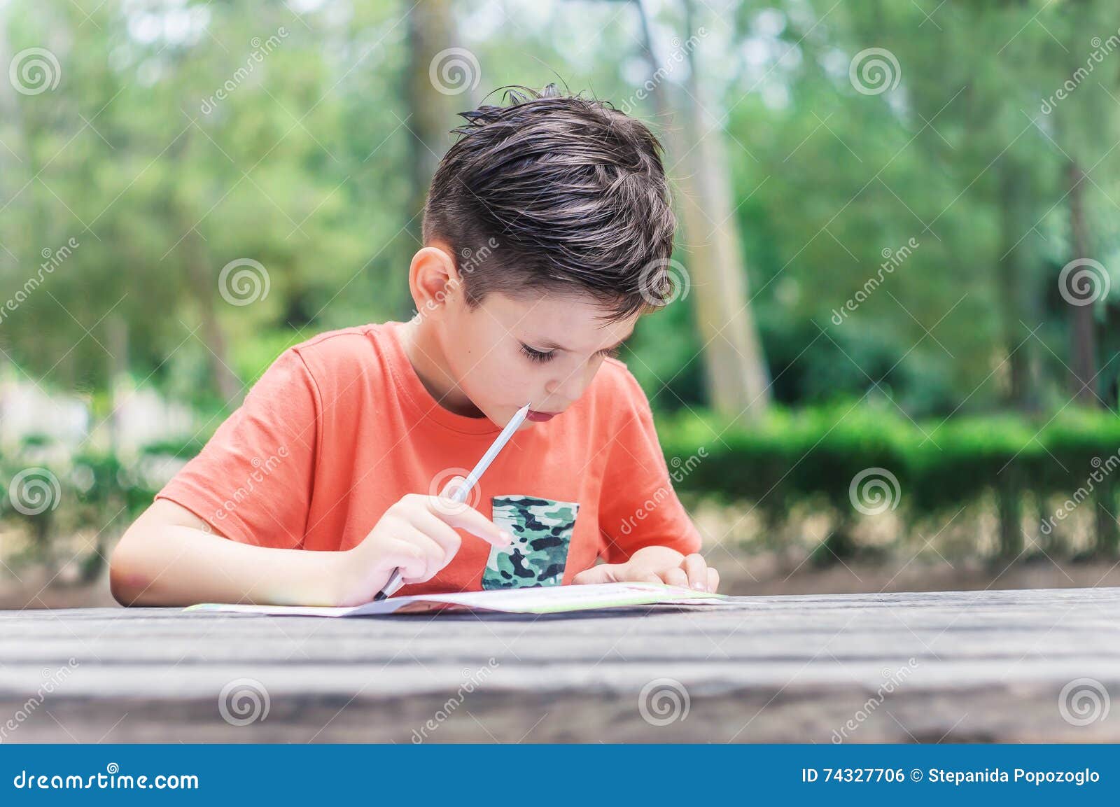 Boy Learns To Read and Write at the Park. Summer School Holidays Stock ...