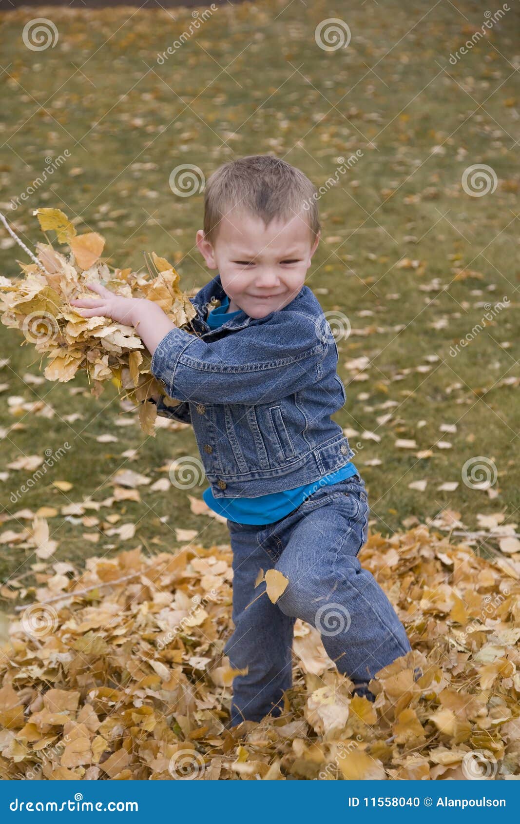 Boy leaves stock photo. Image of funny, faces, outdoors - 11558040
