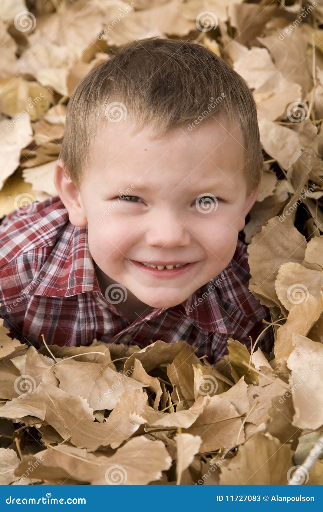 Boy in leaves stock image. Image of earth, green, contact - 11727083