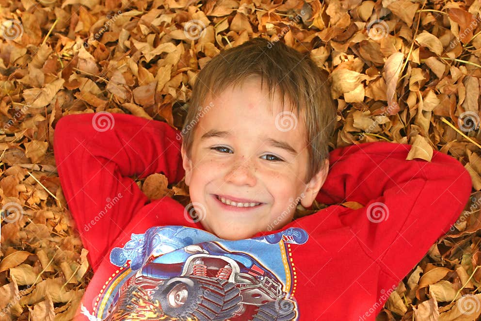 Boy in Leaves stock photo. Image of little, happy, laying - 1429924