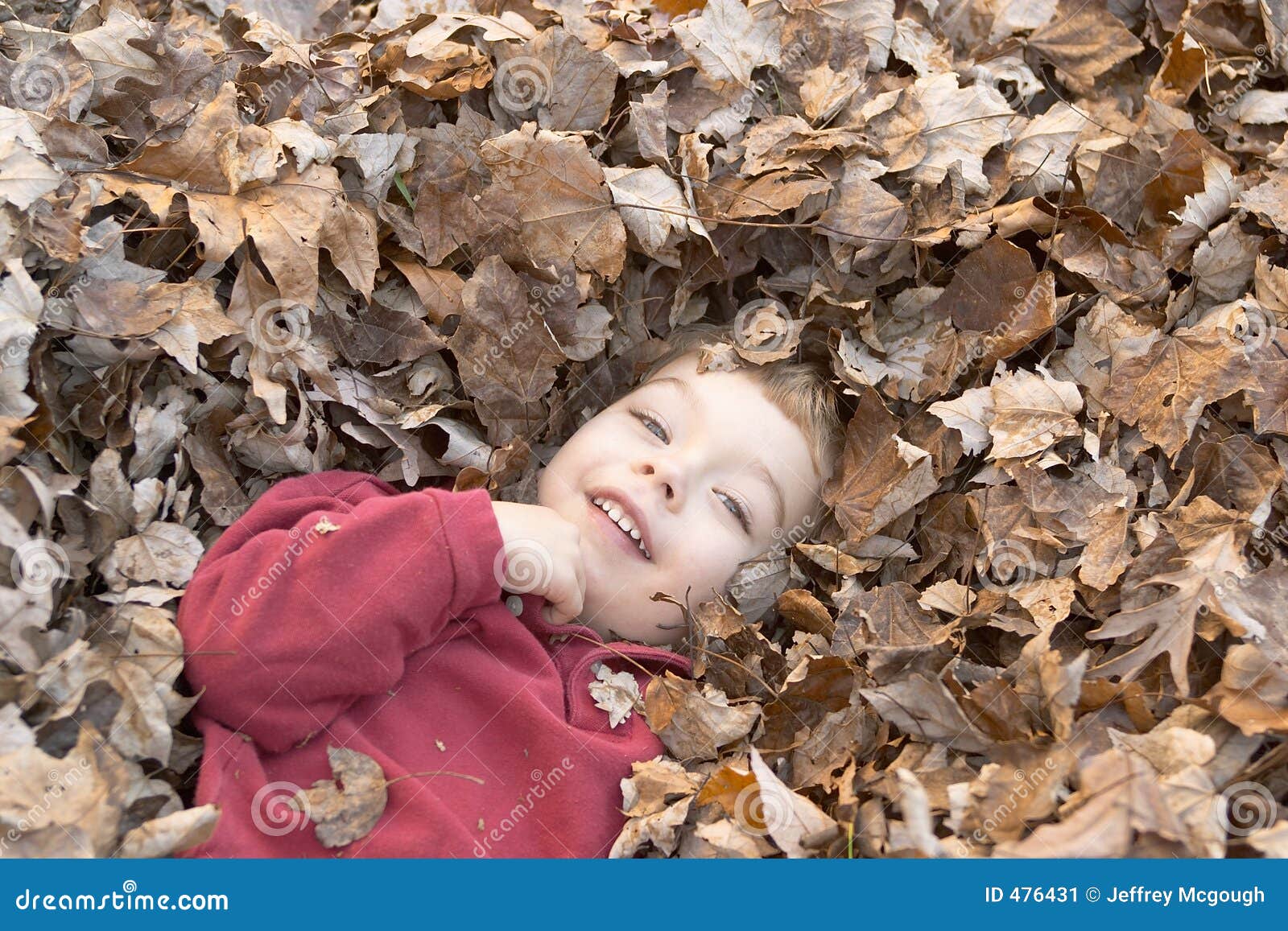Boy In Leaves Picture. Image: 476431