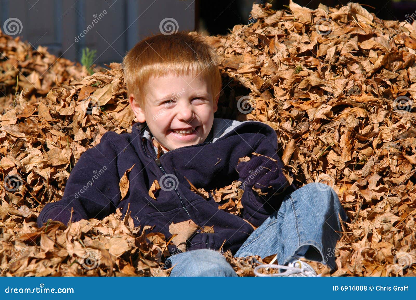 Boy in Leaves stock photo. Image of outside, playing, leaf - 6916008