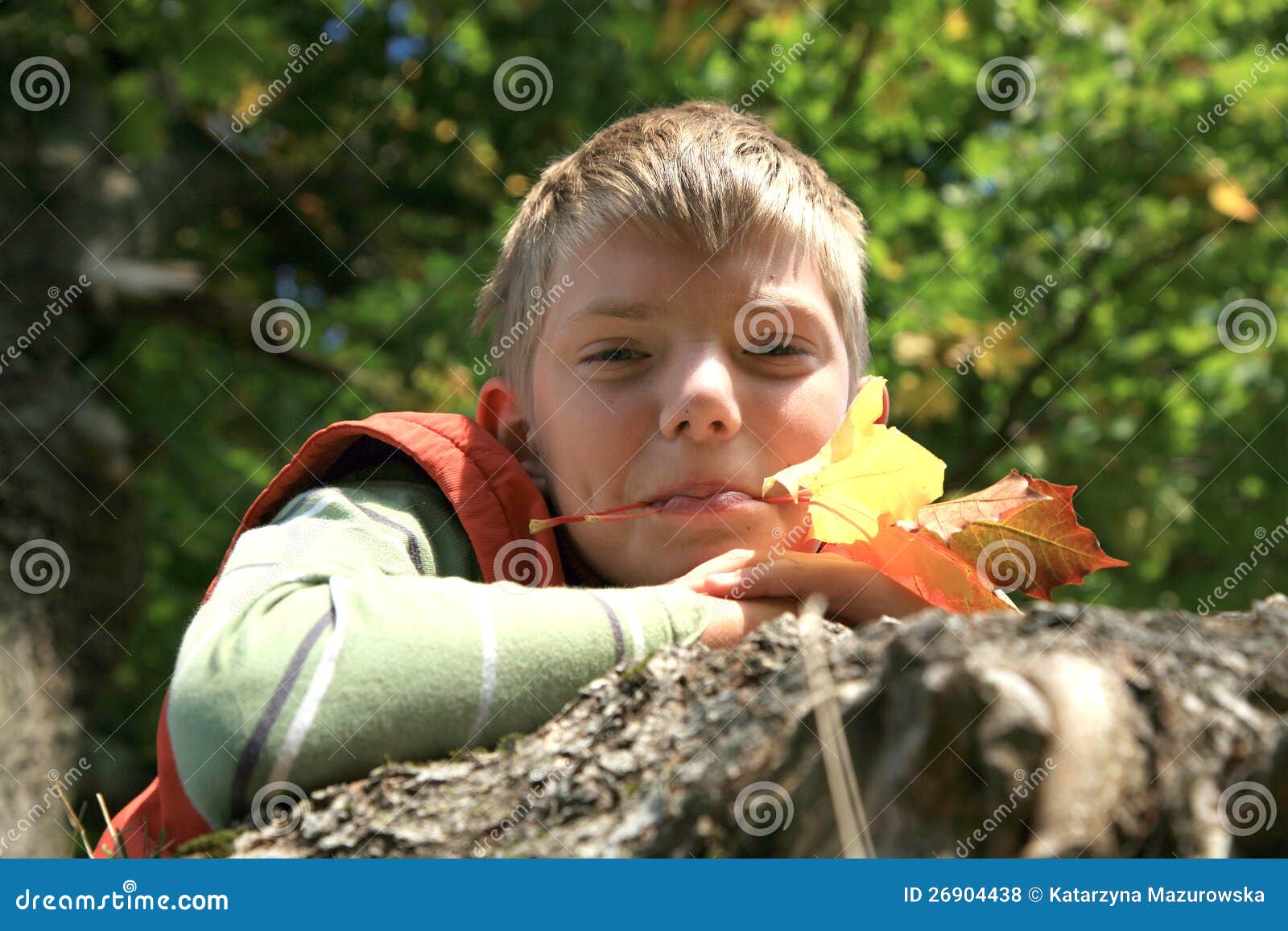 Boy with leaves - autumn stock photo. Image of childhood - 26904438