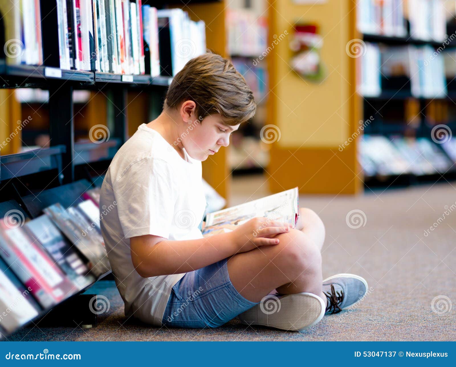 Boy in library stock image. Image of student, study, people - 53047137
