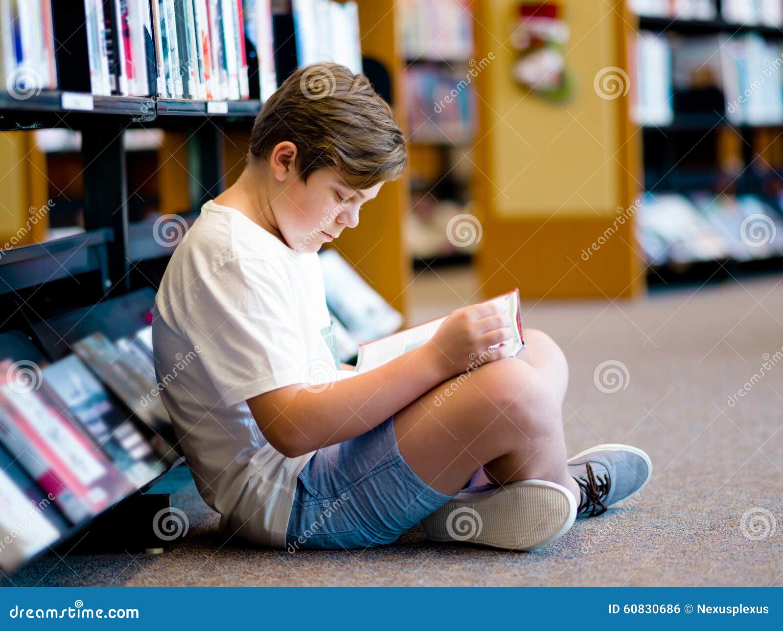 Boy in library stock photo. Image of study, literature - 60830686