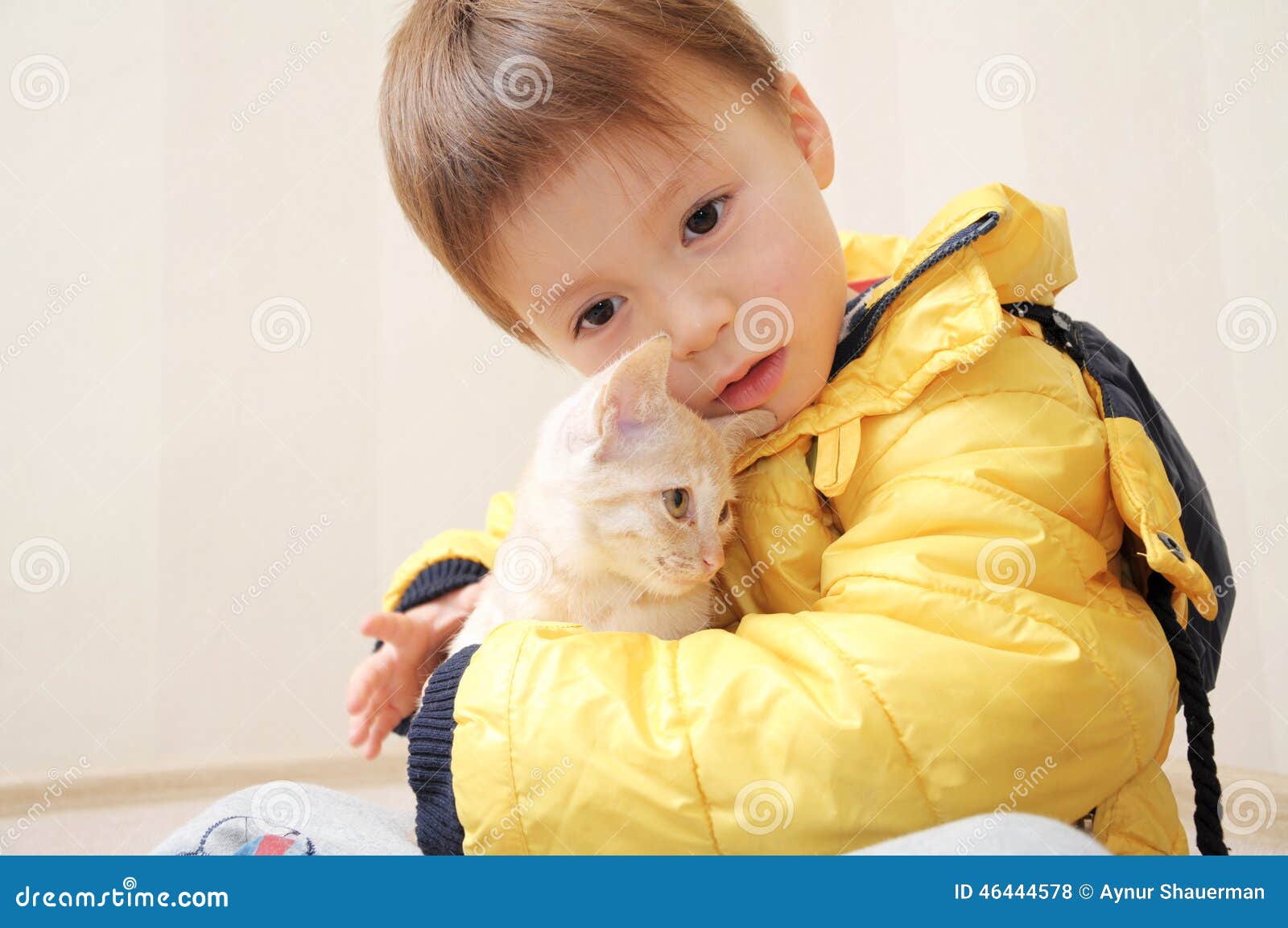 Boy with little cat stock photo. Image of cute, hugging - 46444578
