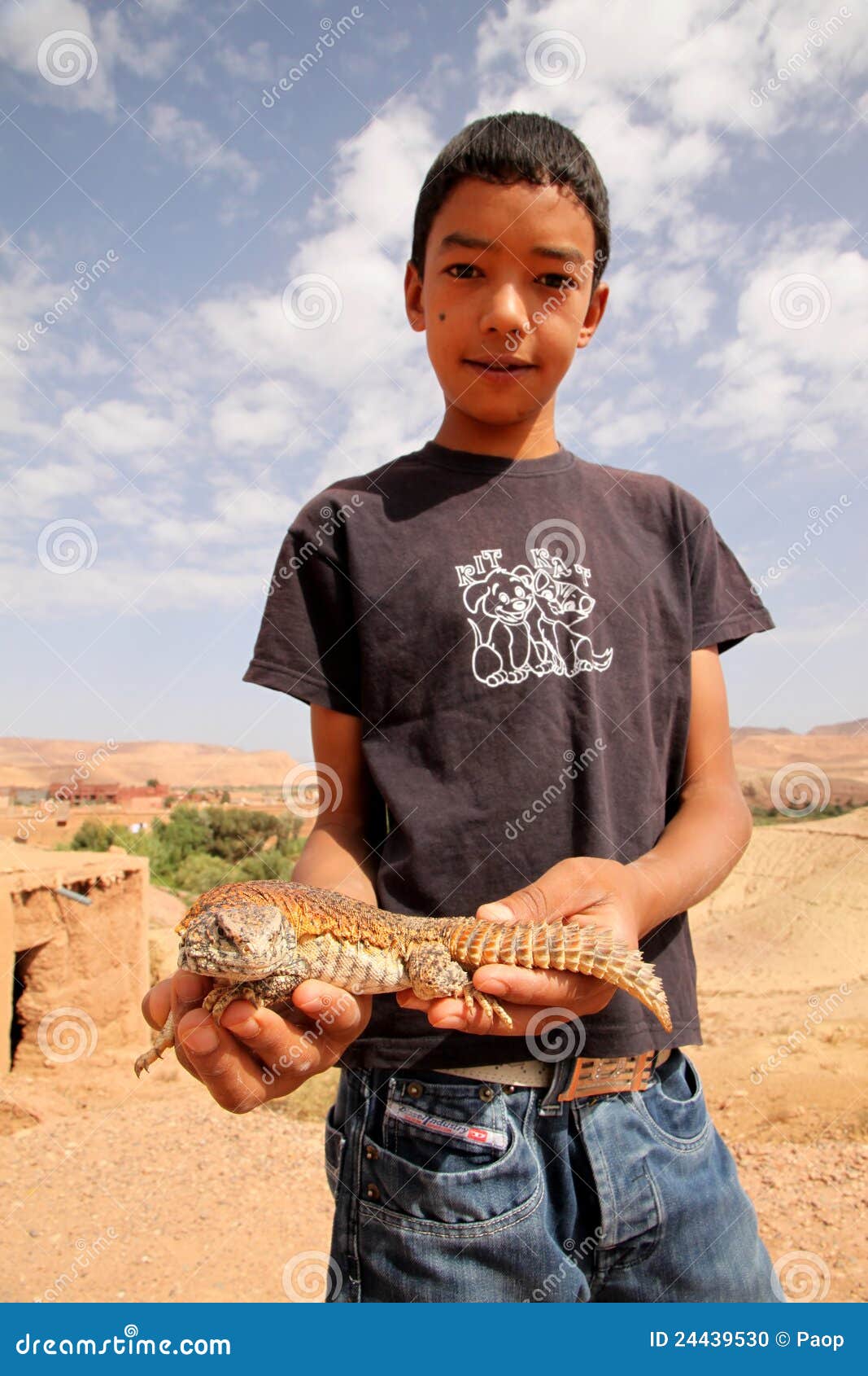 Boy with a lizard editorial image. Image of features - 24439530