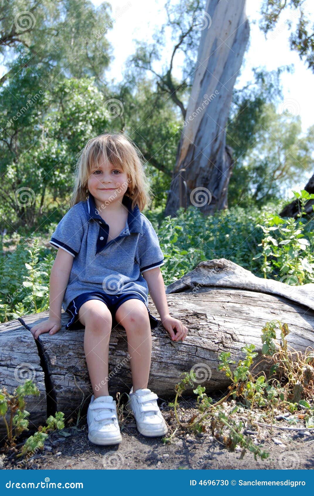 Boy on log stock photo. Image of blond, trunk, little - 4696730