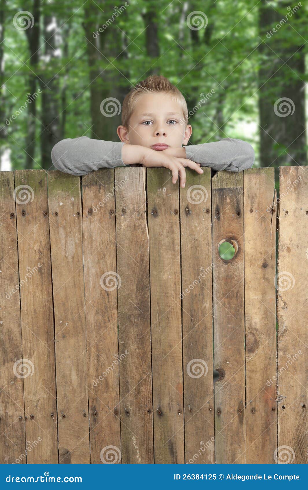 Boy Looking from Above a Fence. Stock Image - Image of outdoors, green ...
