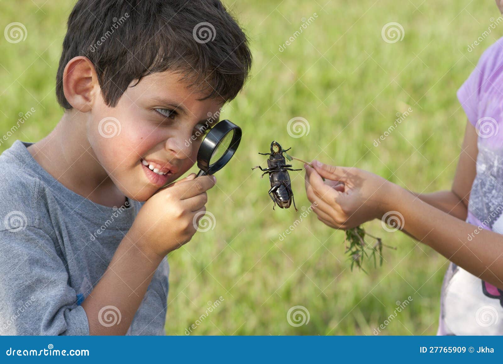 Boy Looking at Beetle through Magnifying Glass Stock Image - Image of ...