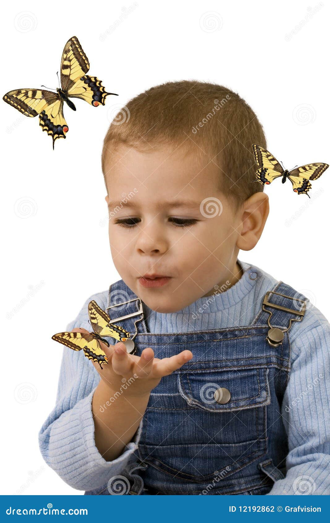 Boy looking at butterfly stock photo. Image of open, face - 12192862