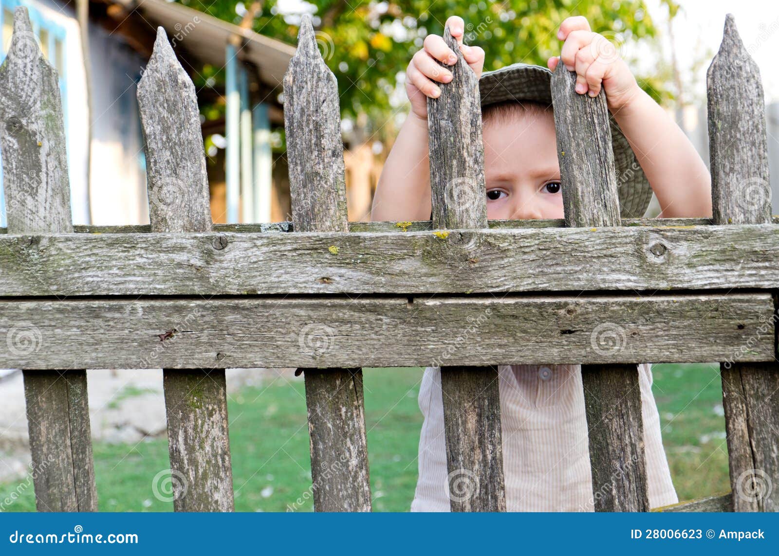 Boy Looking through a Fence Stock Image - Image of lifestyle, grass ...
