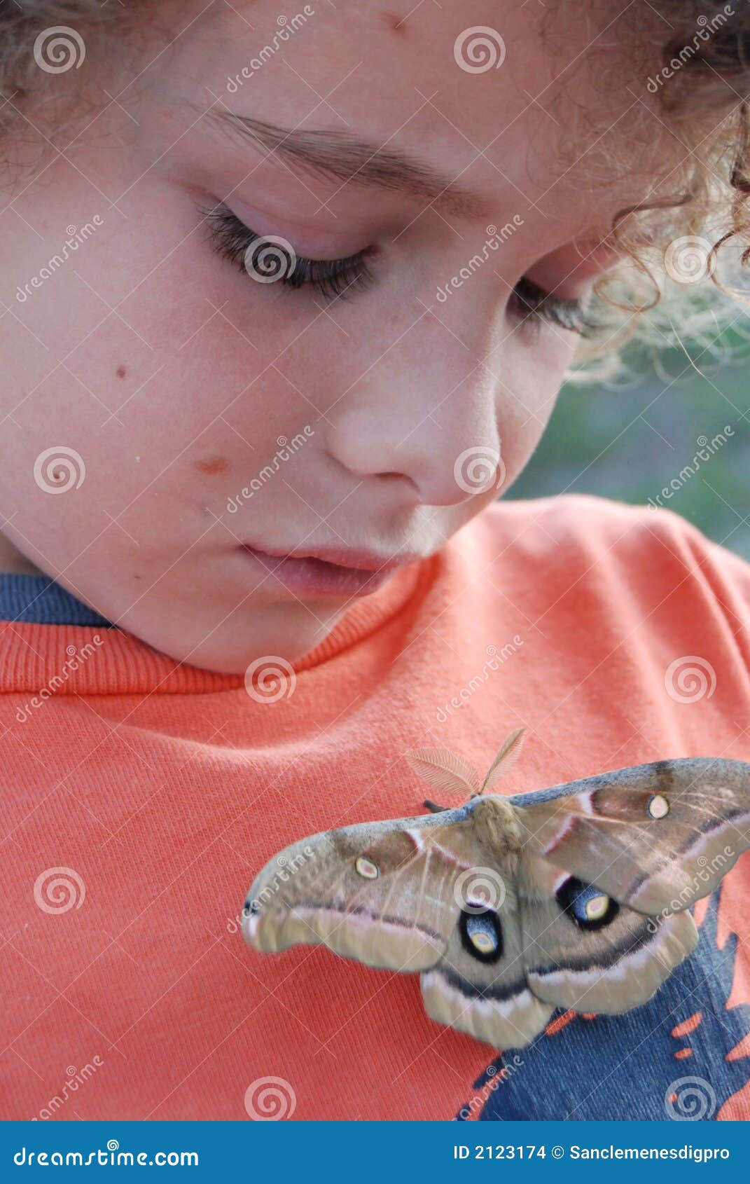 Boy looking at moth stock photo. Image of anth, wing, brownisch - 2123174