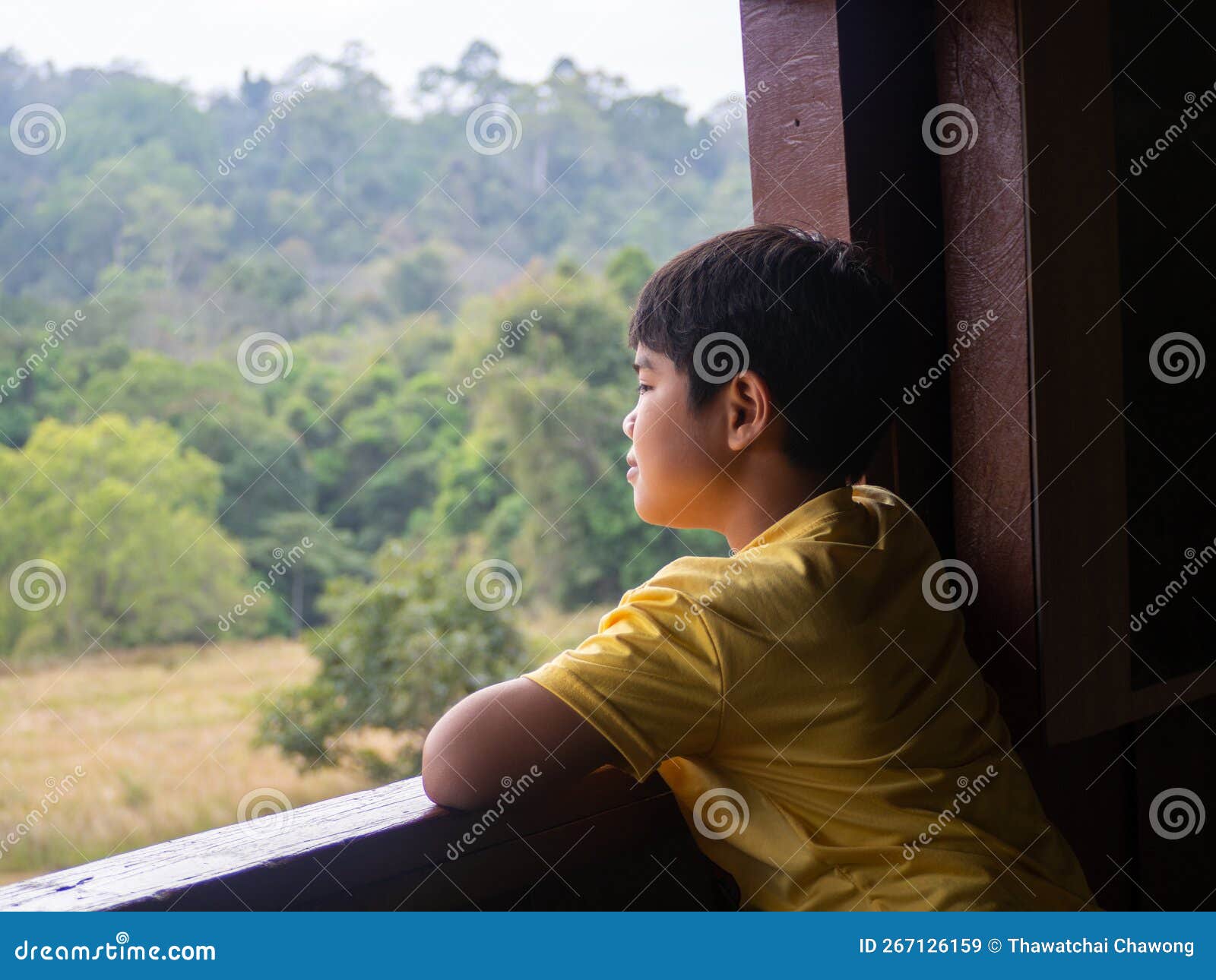 Boy Looking Out Window Looking at the Green Forest Stock Image - Image ...