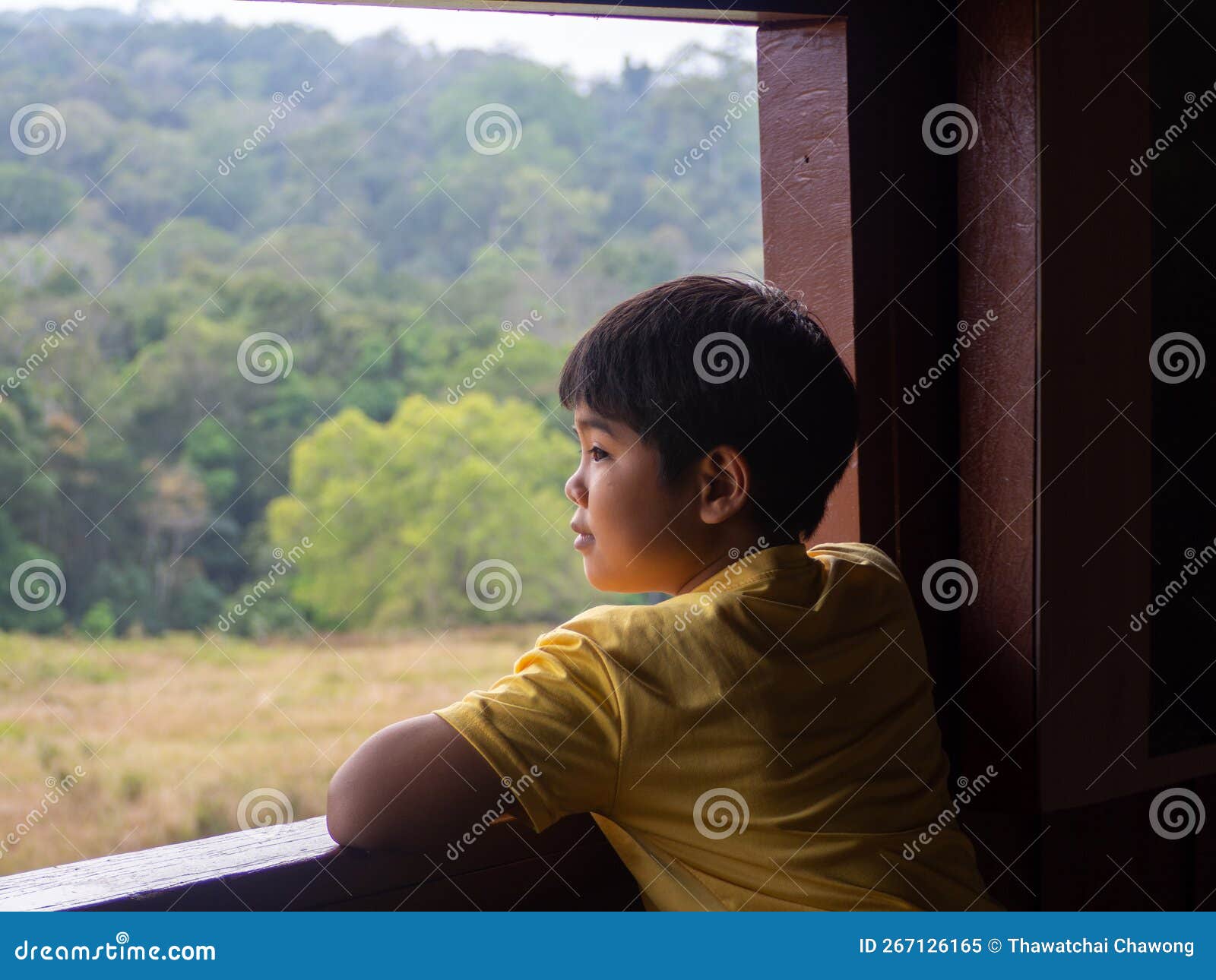 Boy Looking Out Window Looking at the Green Forest Stock Image - Image ...