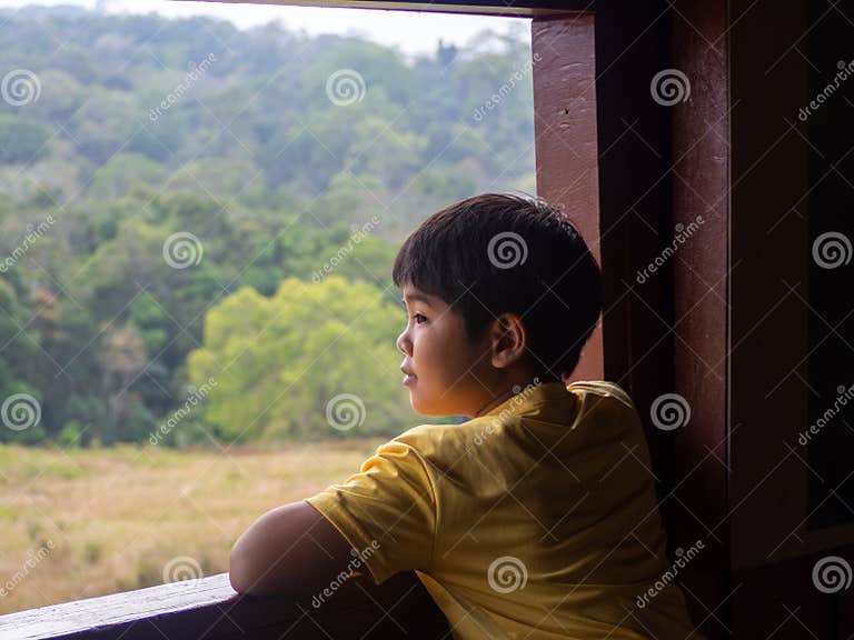 Boy Looking Out Window Looking at the Green Forest Stock Image - Image ...