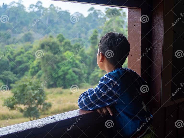 Boy Looking Out Window Looking at the Green Forest Stock Image - Image ...