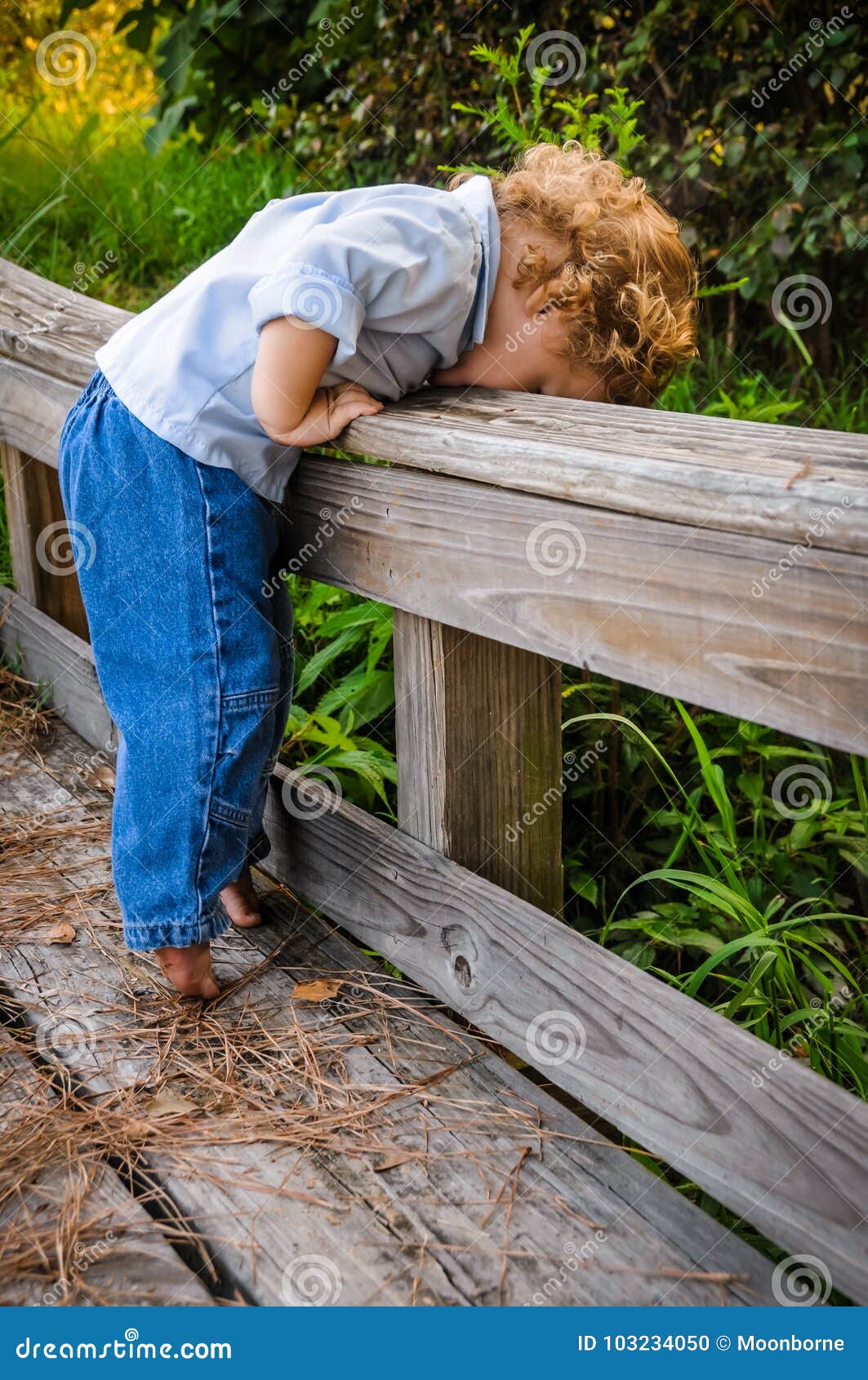 Boy Looking Over a Bridge stock photo. Image of cute - 103234050