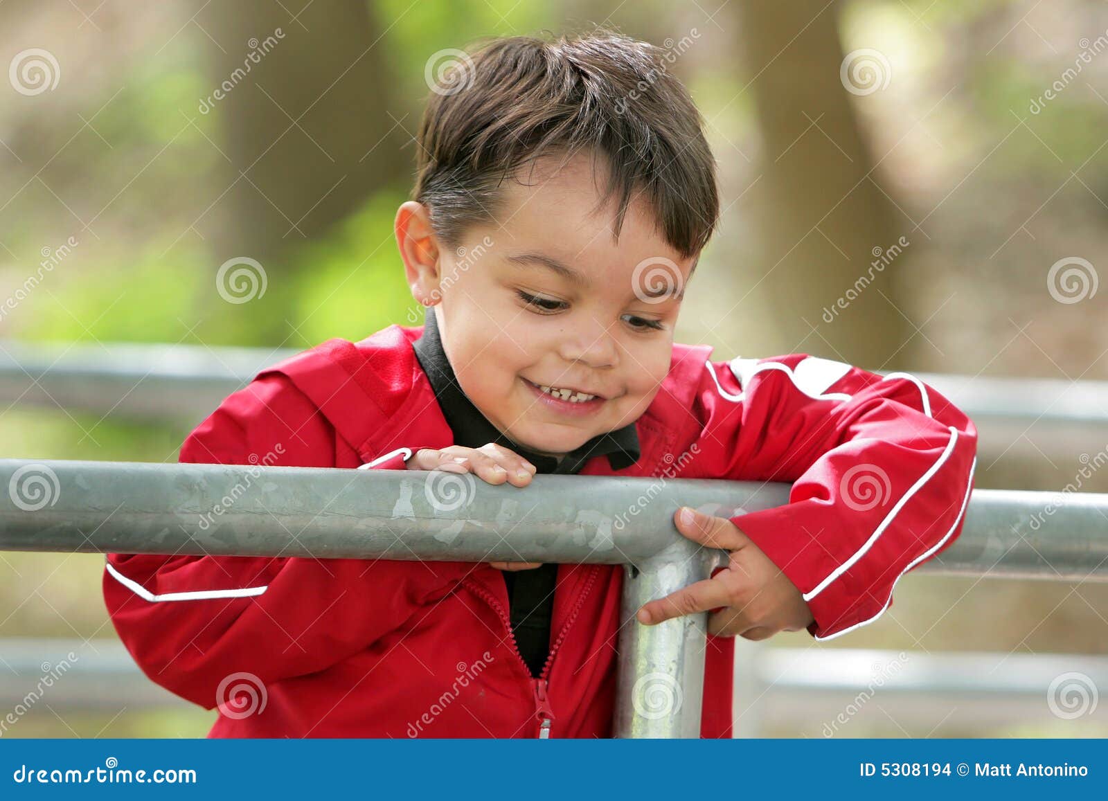 Boy Looking Over a Railing at a Bridge Stock Photo - Image of curious ...