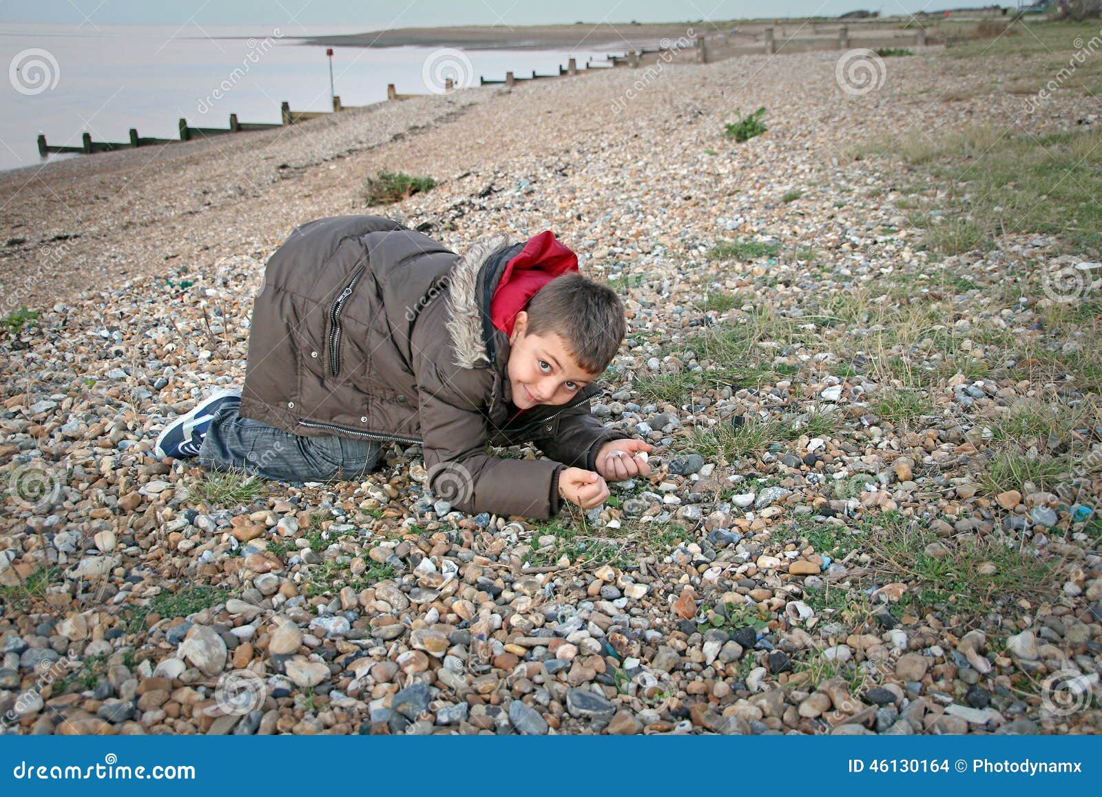 Boy looking for shells stock photo. Image of seaside - 46130164