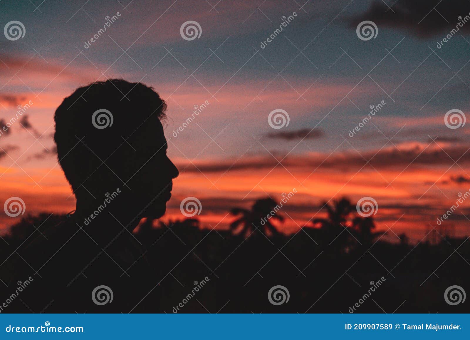 A boy looking at sunset. stock image. Image of text - 209907589