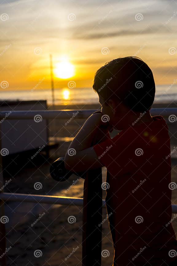 Boy looking at sunset stock photo. Image of vertical - 54951476