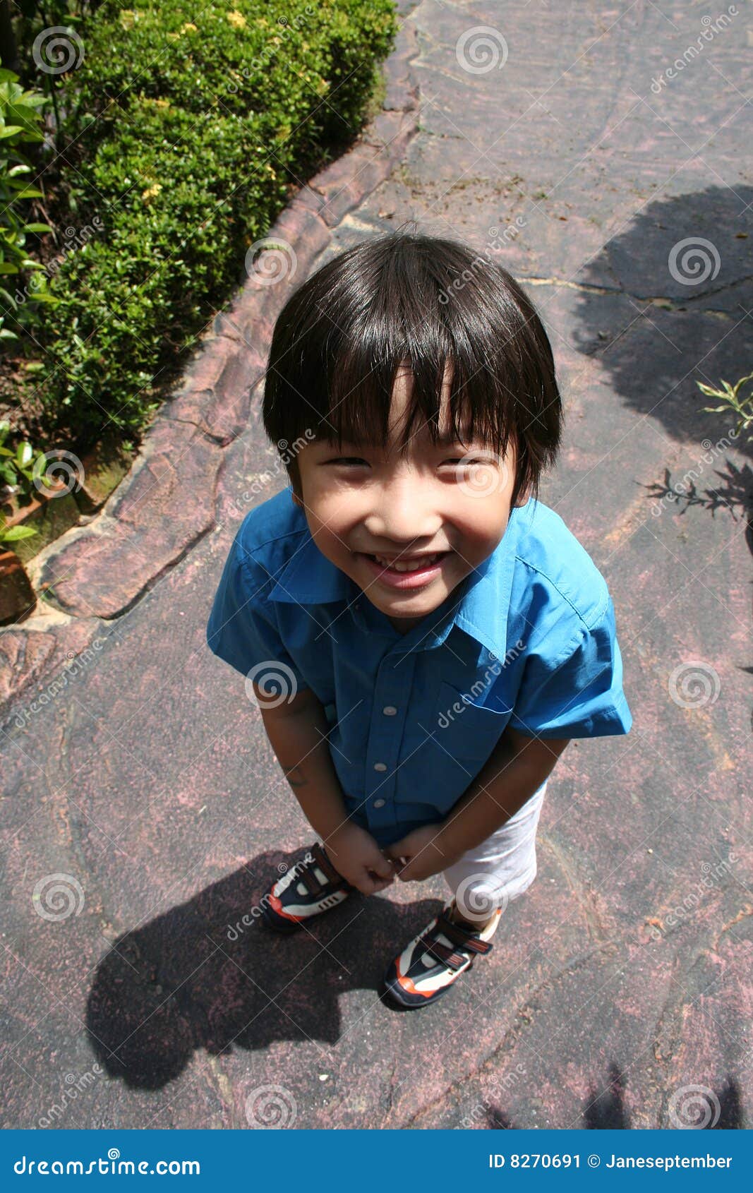 Boy looking up stock image. Image of smiles, young, children - 8270691