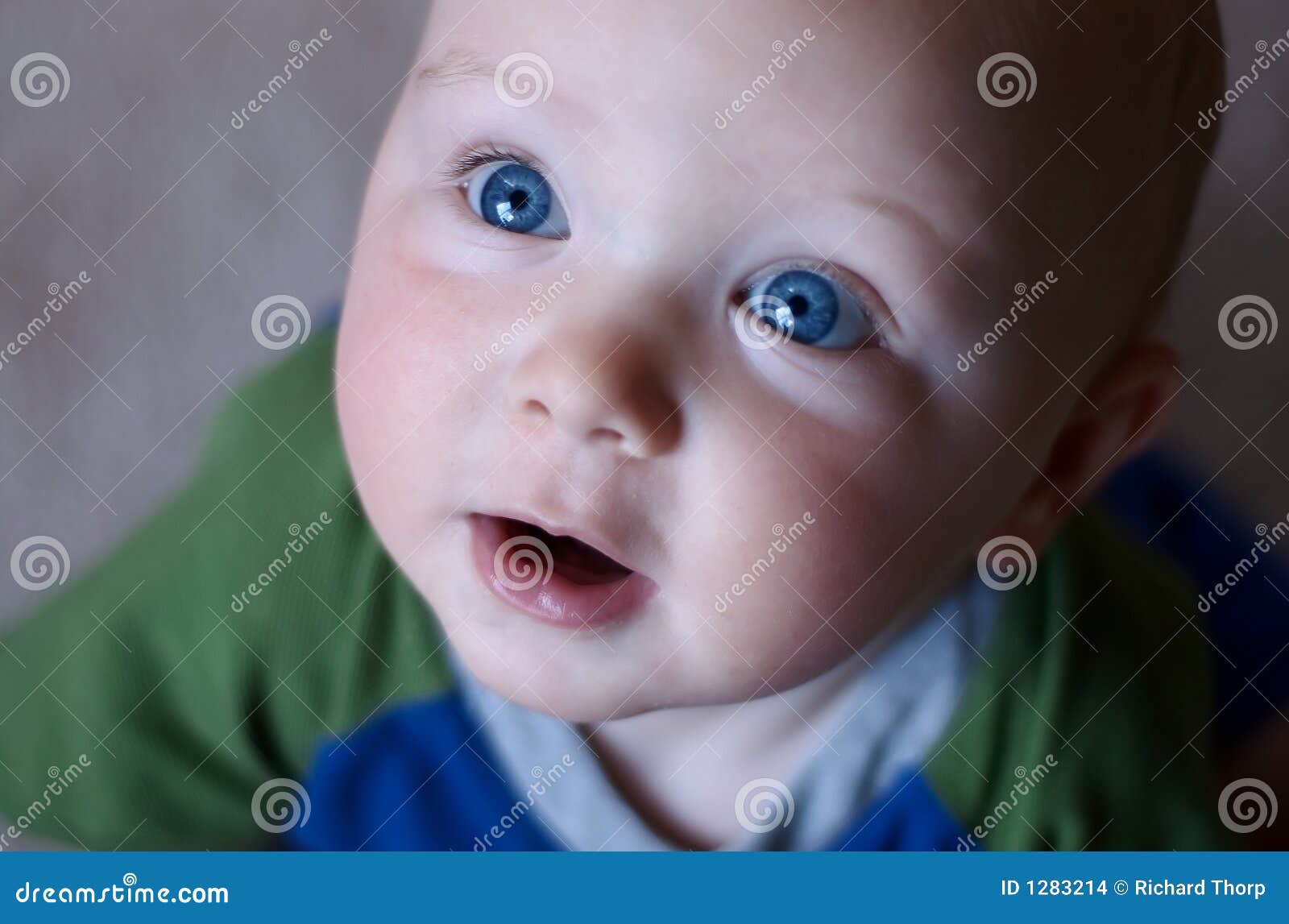 Boy looking up in wonder stock photo. Image of eyes, love - 1283214