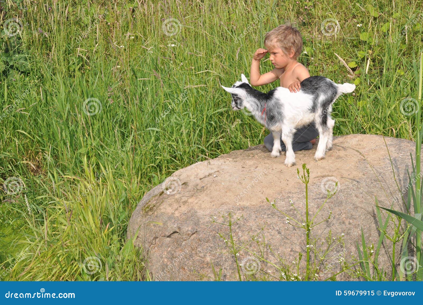 A Boy Looks Afar, Playing the Young Goat Stock Image - Image of ...