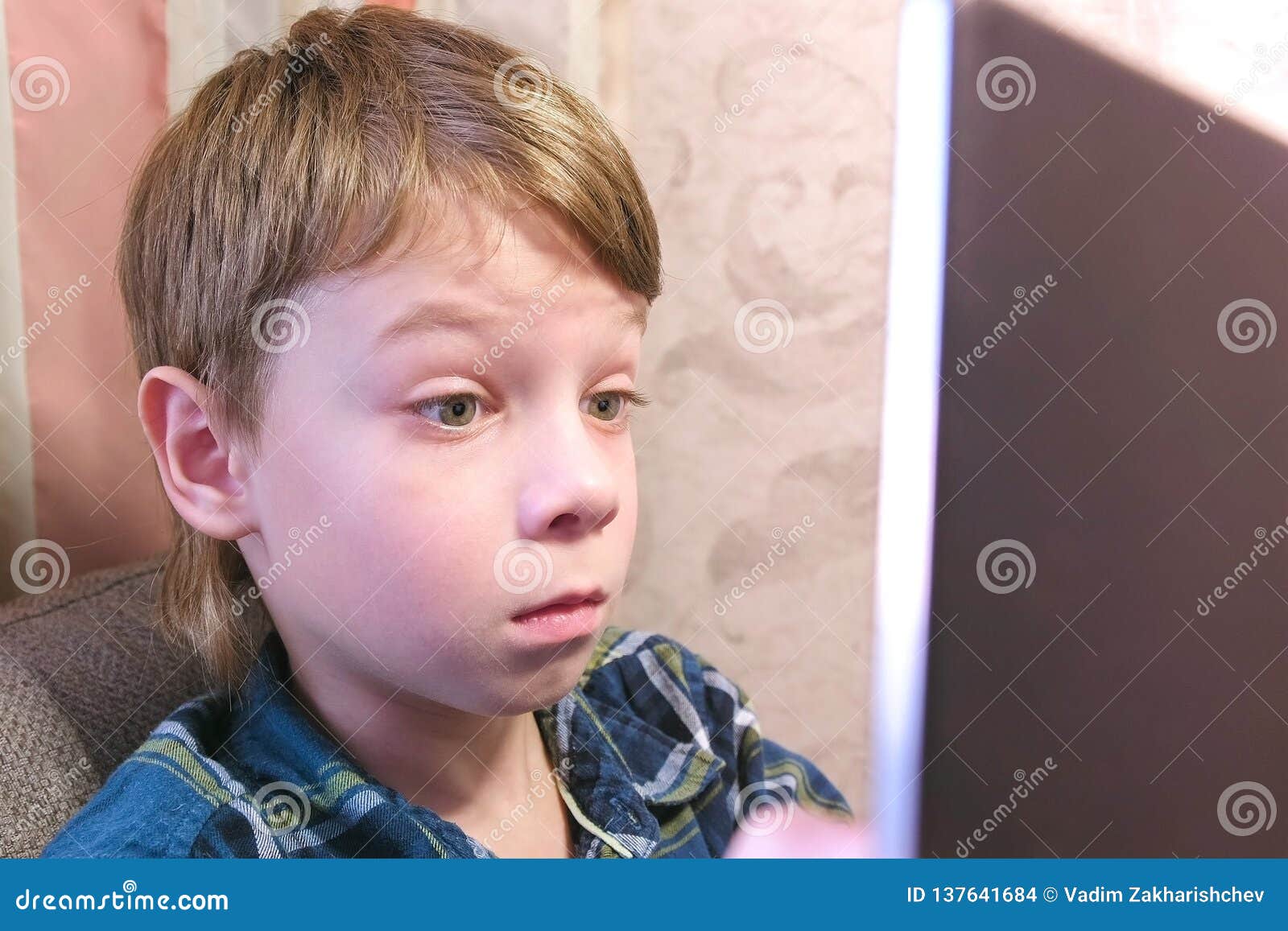 Boy Looks at the Computer Screen Sitting on the Sofa at Home. Stock ...