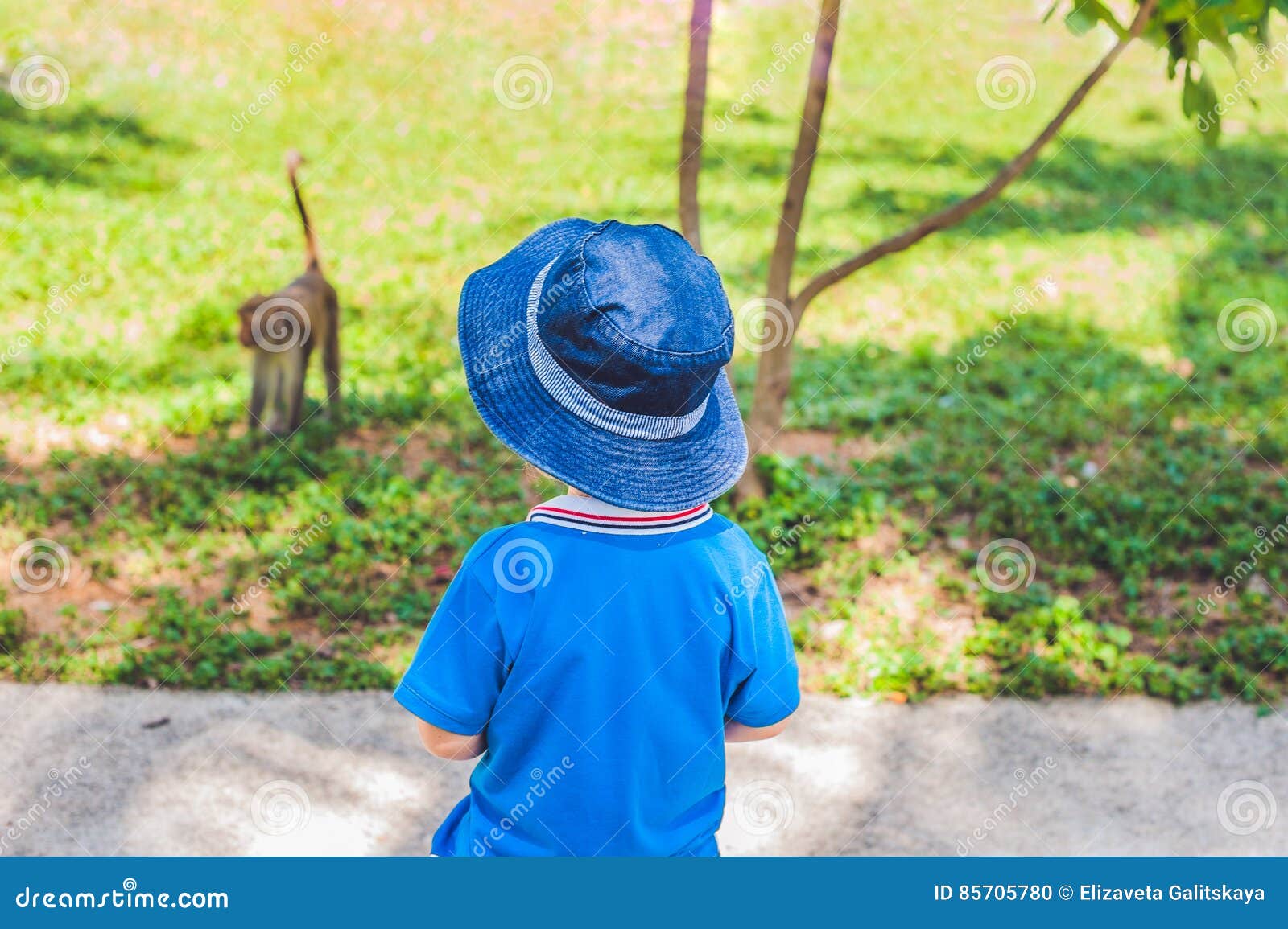 The Boy Looks at a Monkey. Monkey Island, Vietnam Stock Photo - Image ...